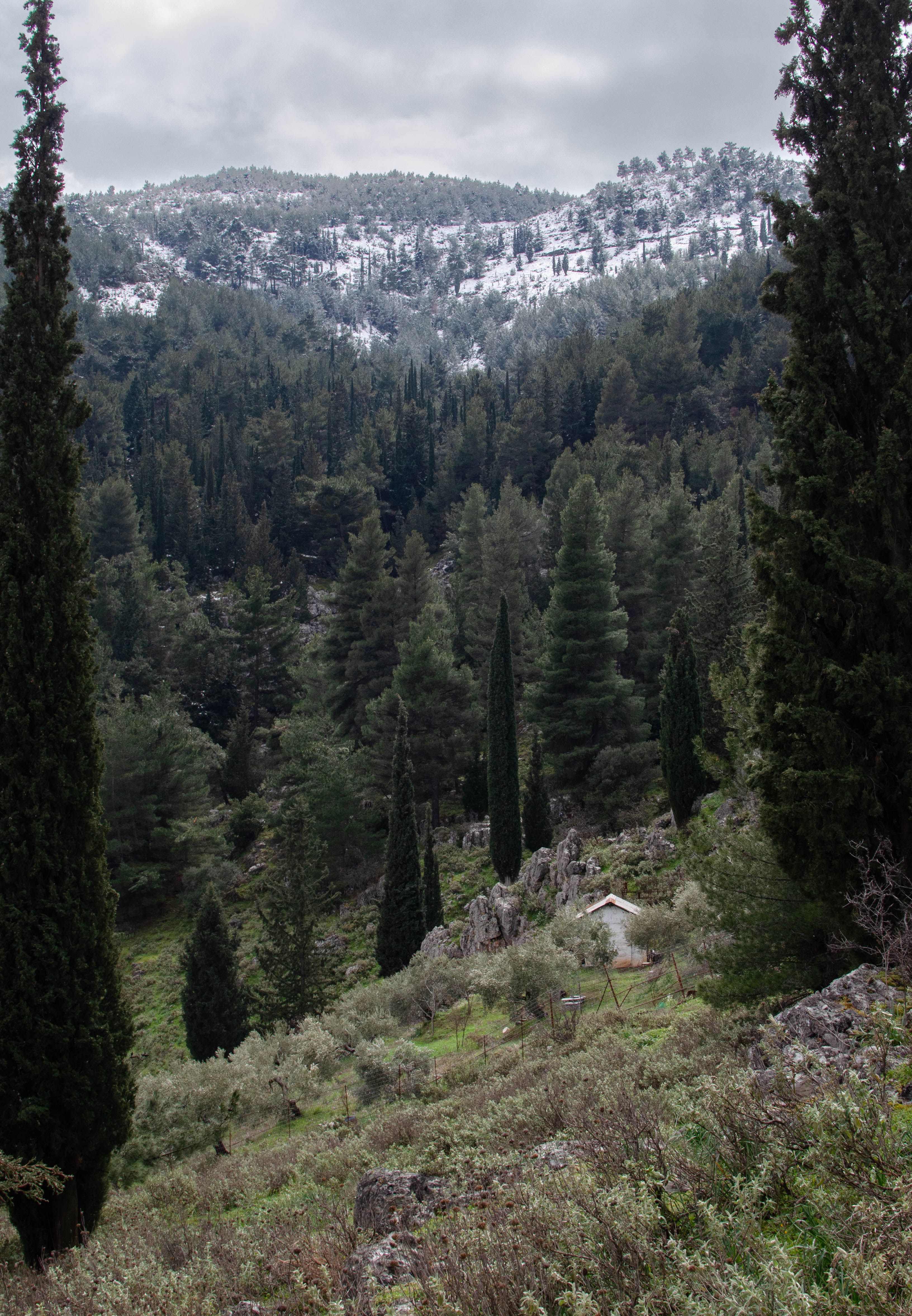 Hill Side Photos, Download The BEST Free Hill Side Stock Photos & HD Images