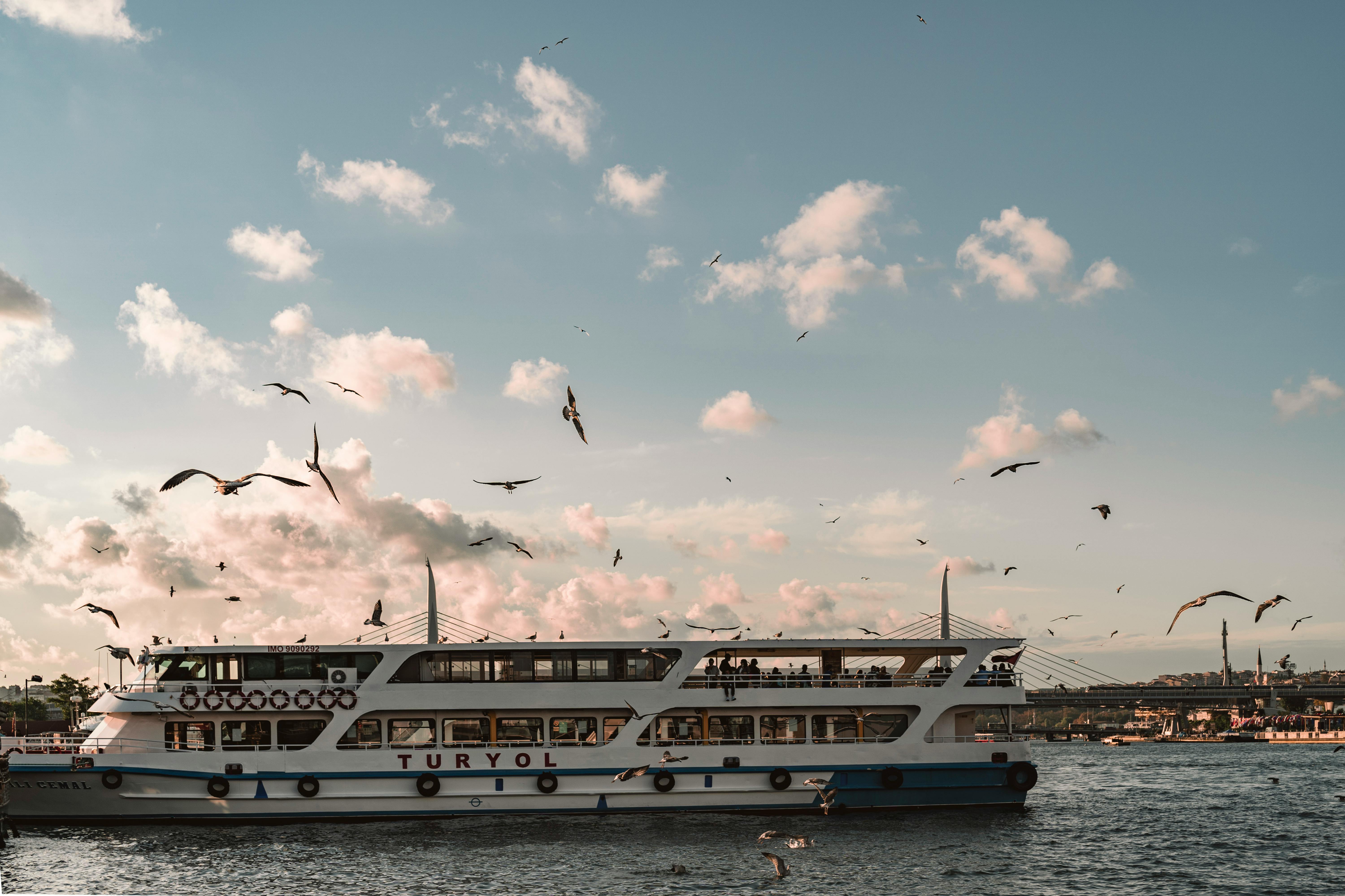 Ferry in the River with Flying Seagulls · Free Stock Photo