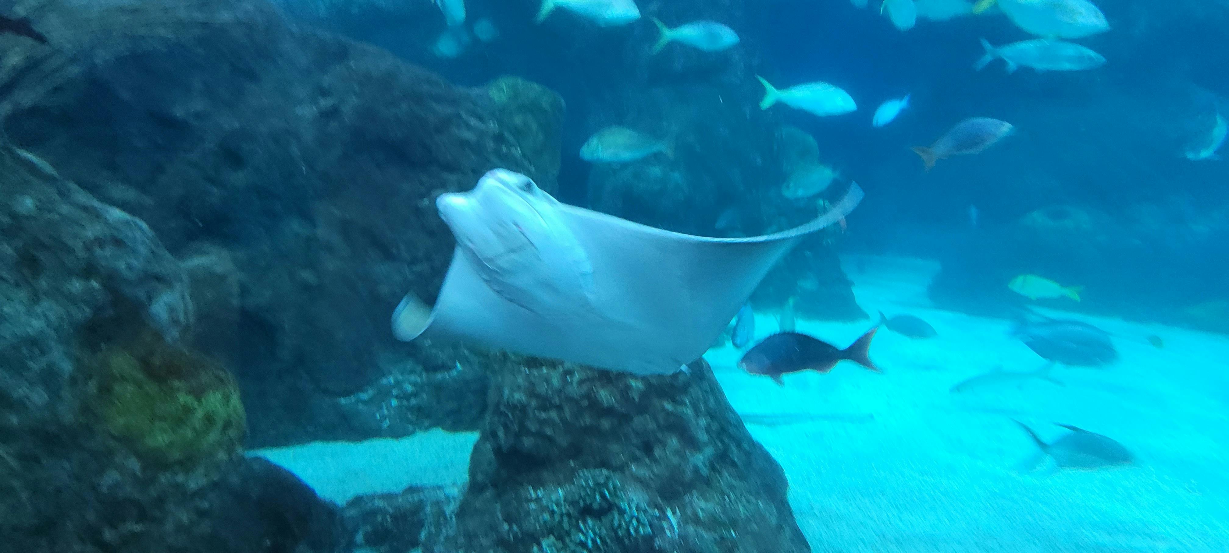 Jonathan Alonso - Photography