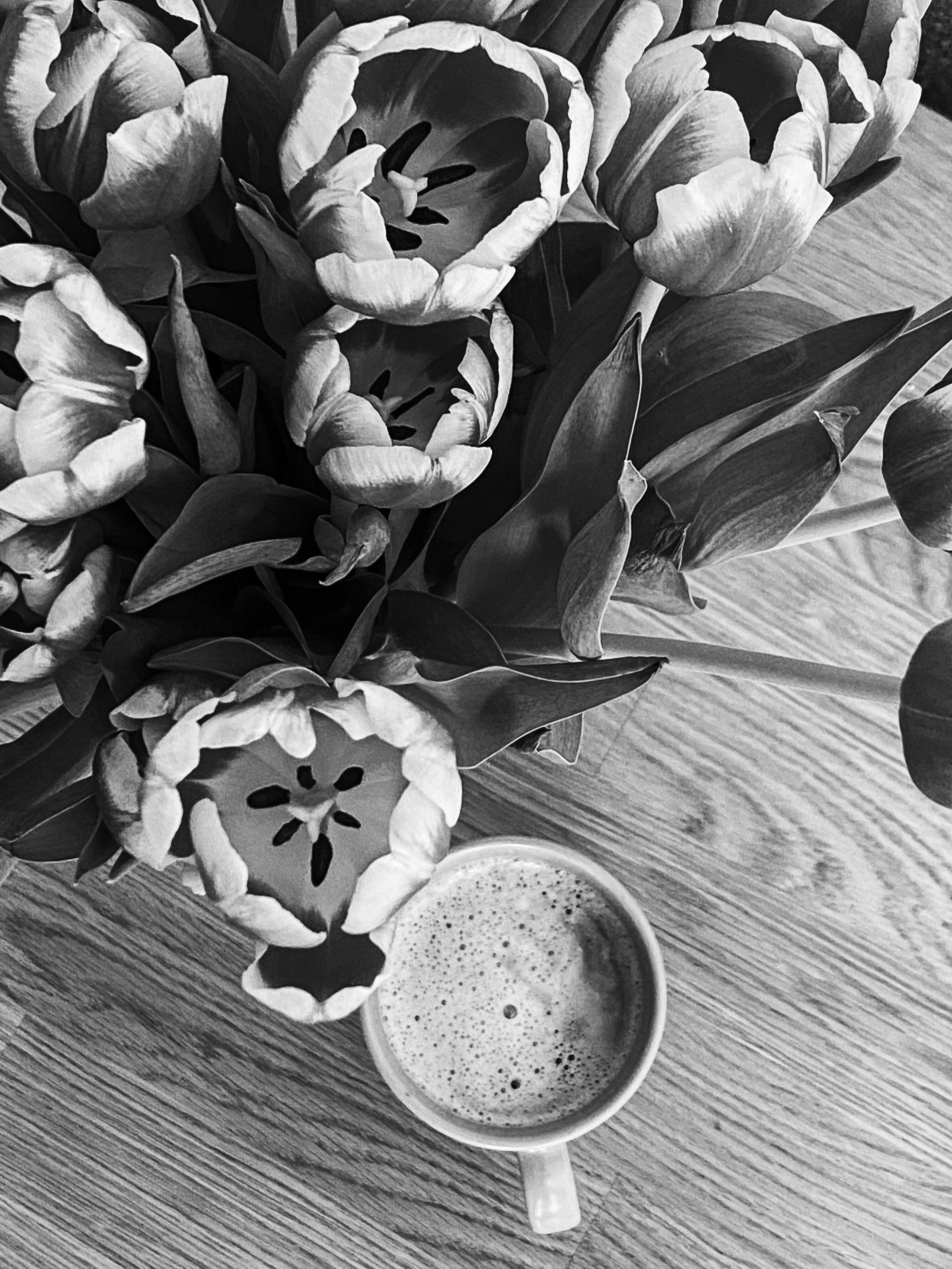 Grayscale Photo of a Flower · Free Stock Photo