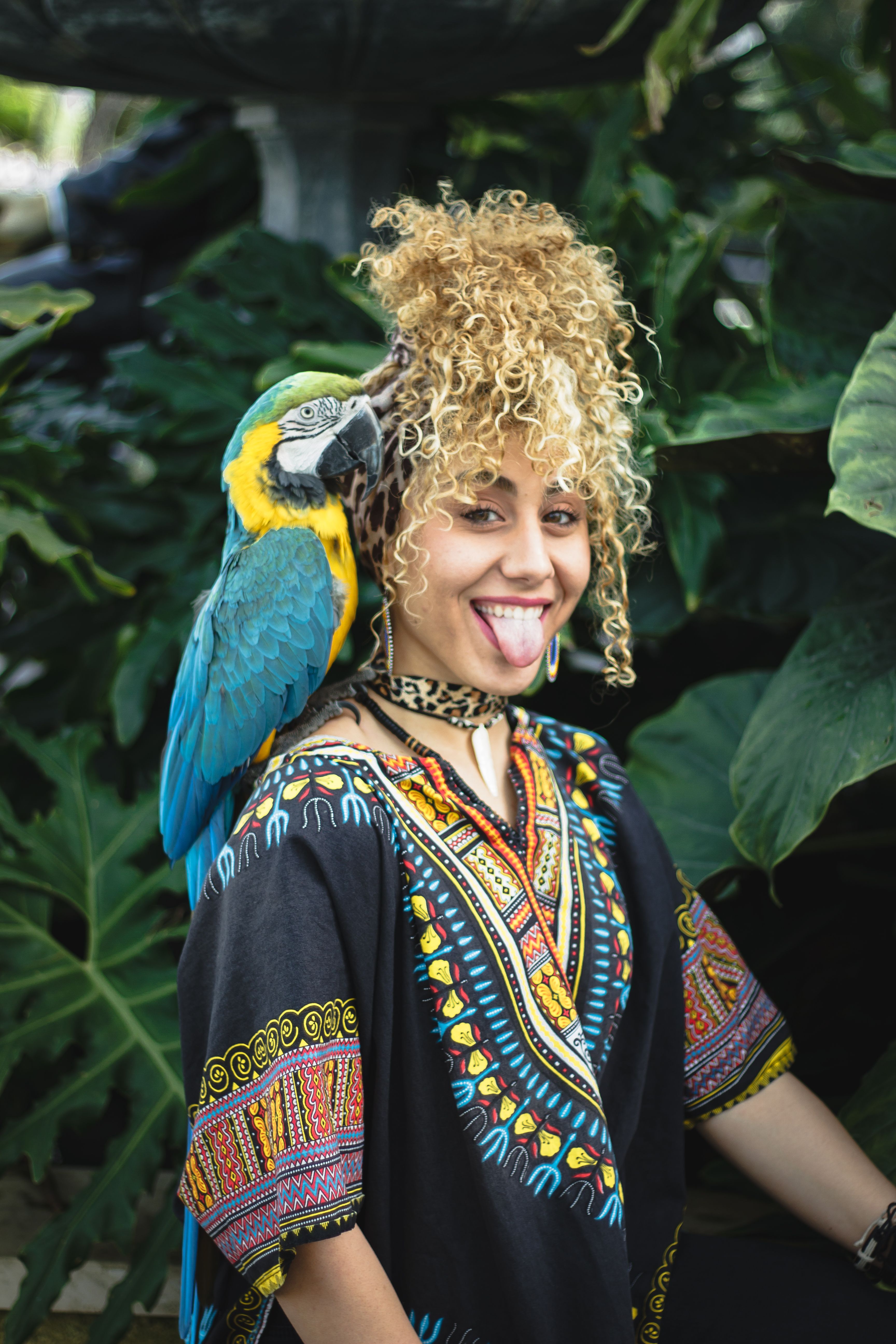 Happy Bird Photos, Download The BEST Free Happy Bird Stock Photos & HD ...