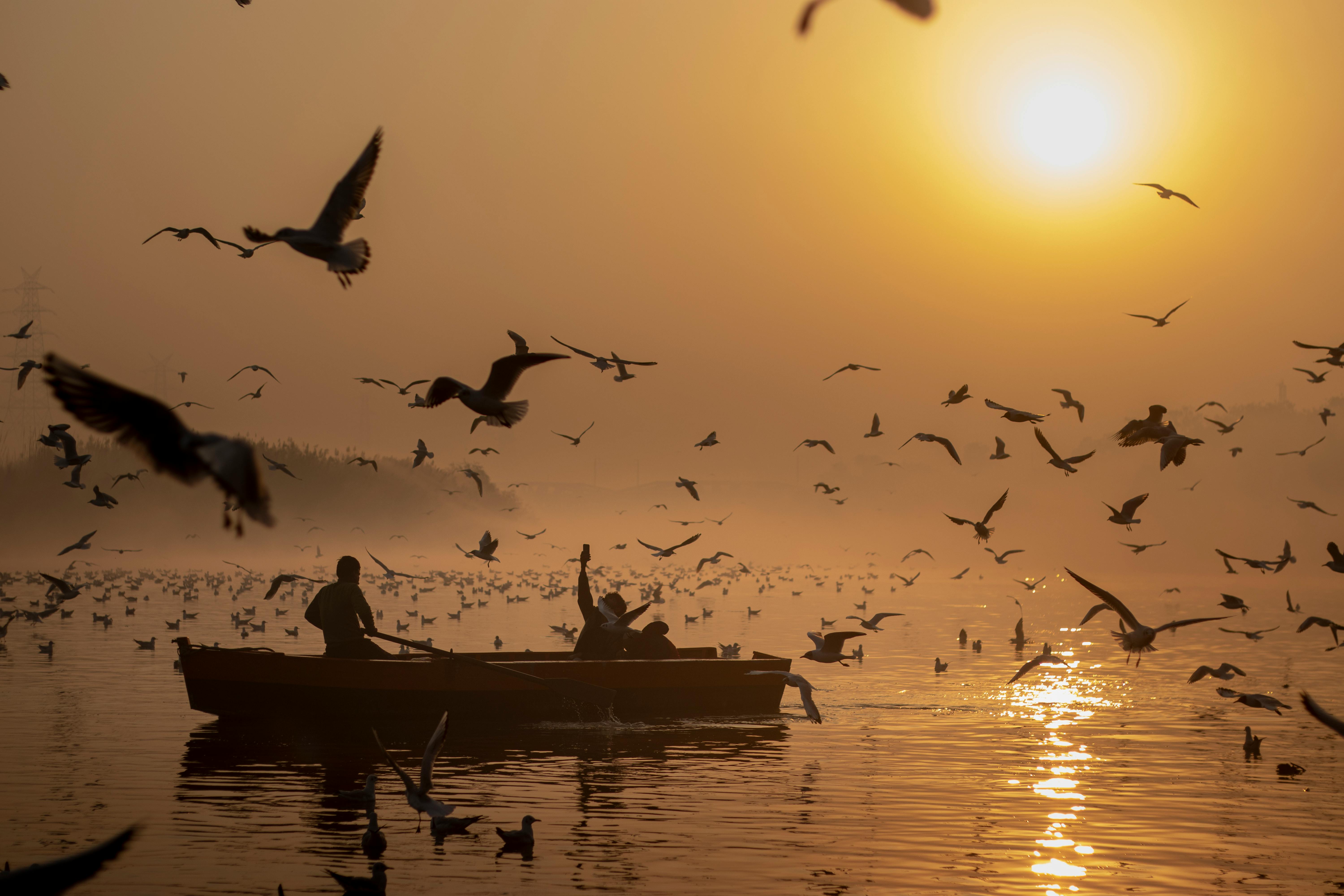 Man Riding A Boat Photos, Download The BEST Free Man Riding A Boat ...