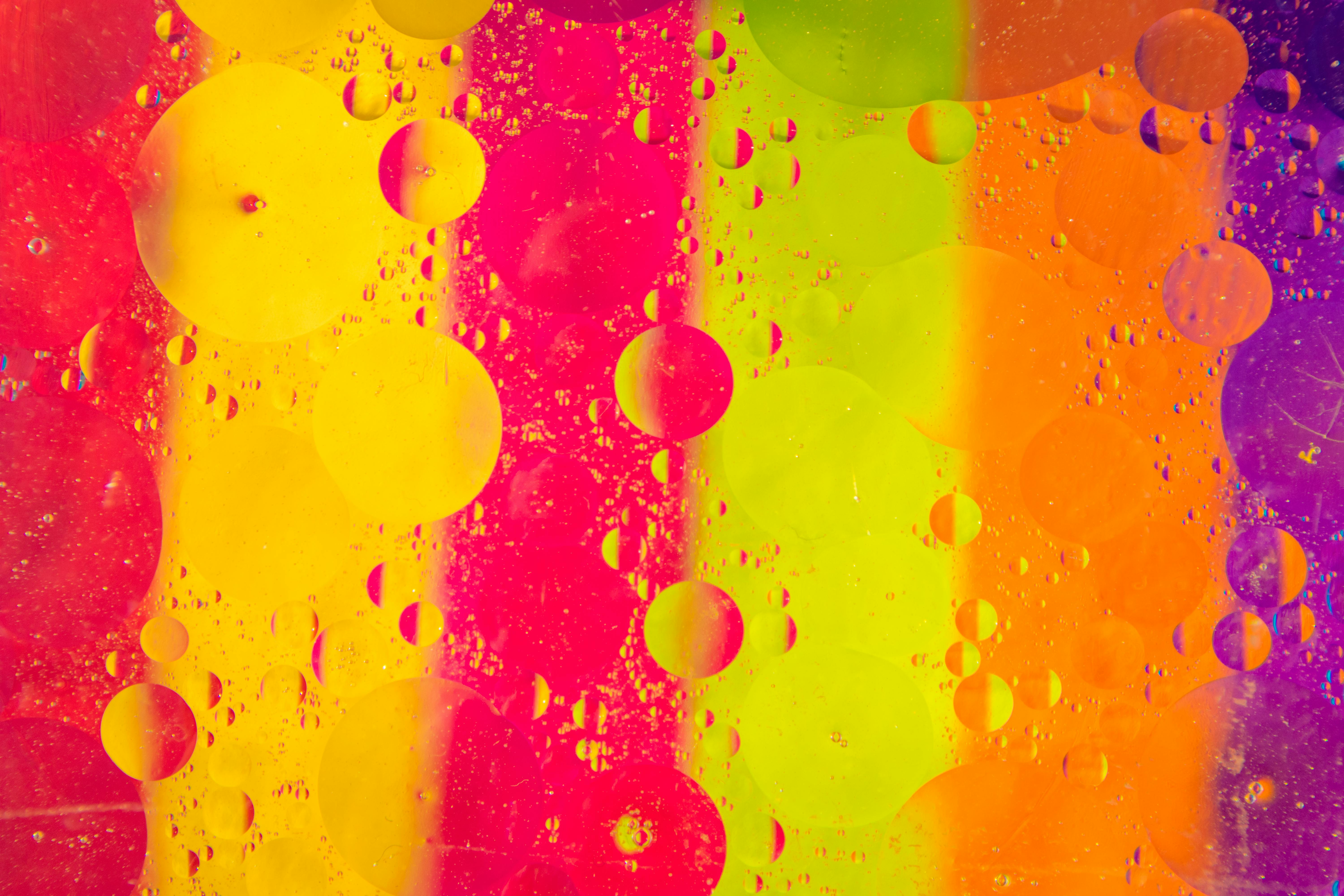 Kostenloses Foto zum Thema: bunt, farbenfroh, hell