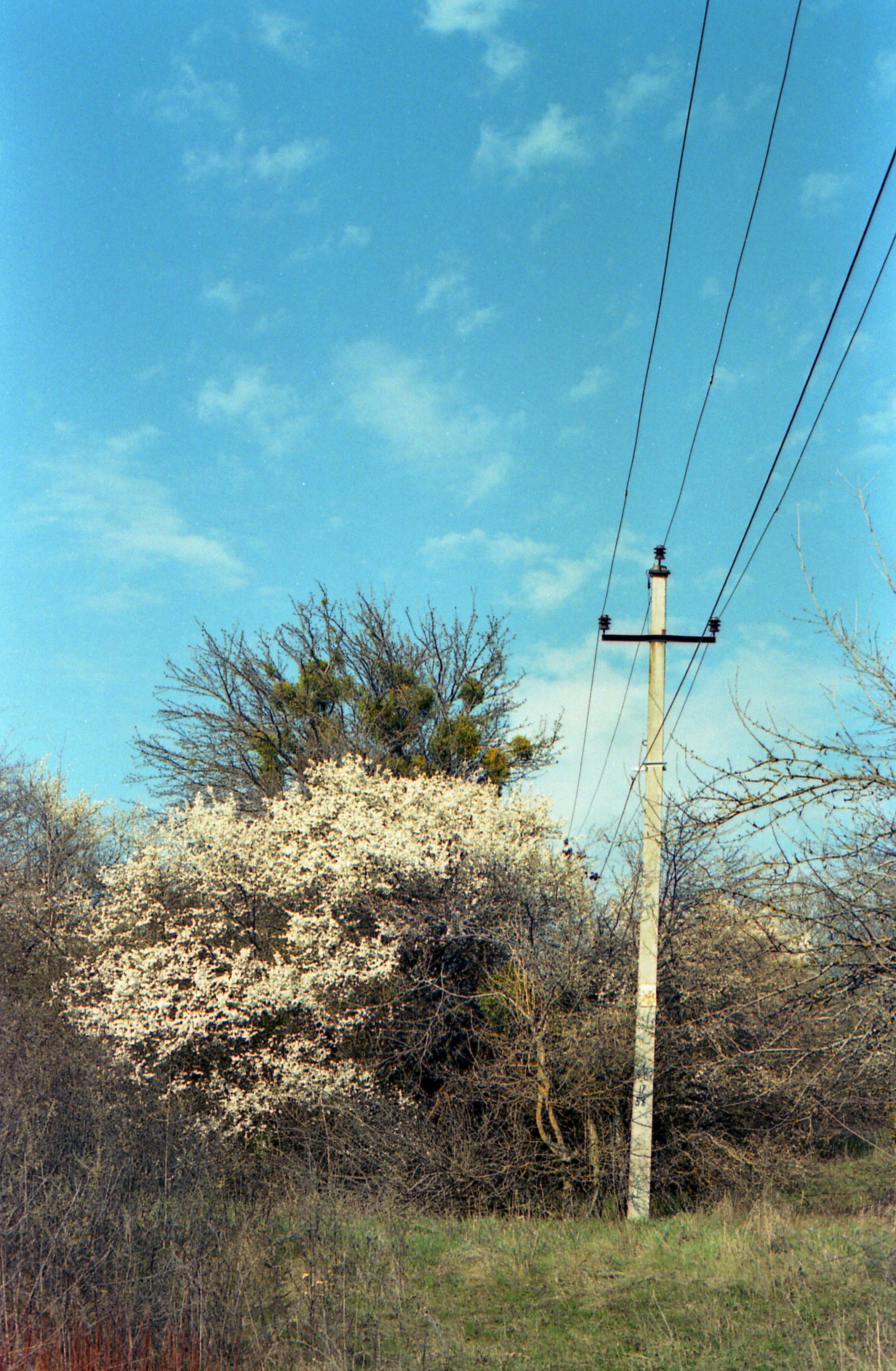 Electric Posts · Free Stock Photo