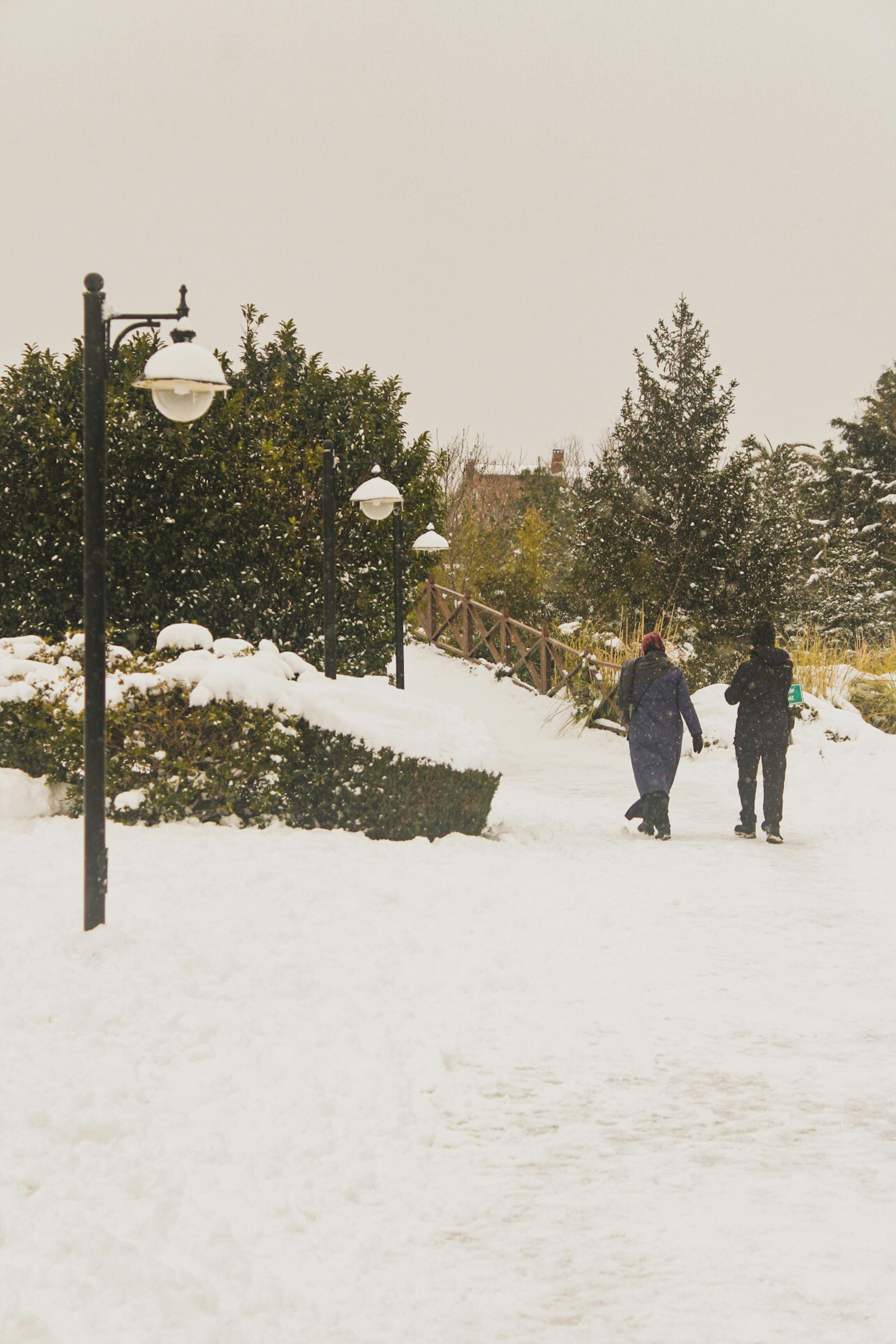 People Walking on Snow Covered Walkway · Free Stock Photo