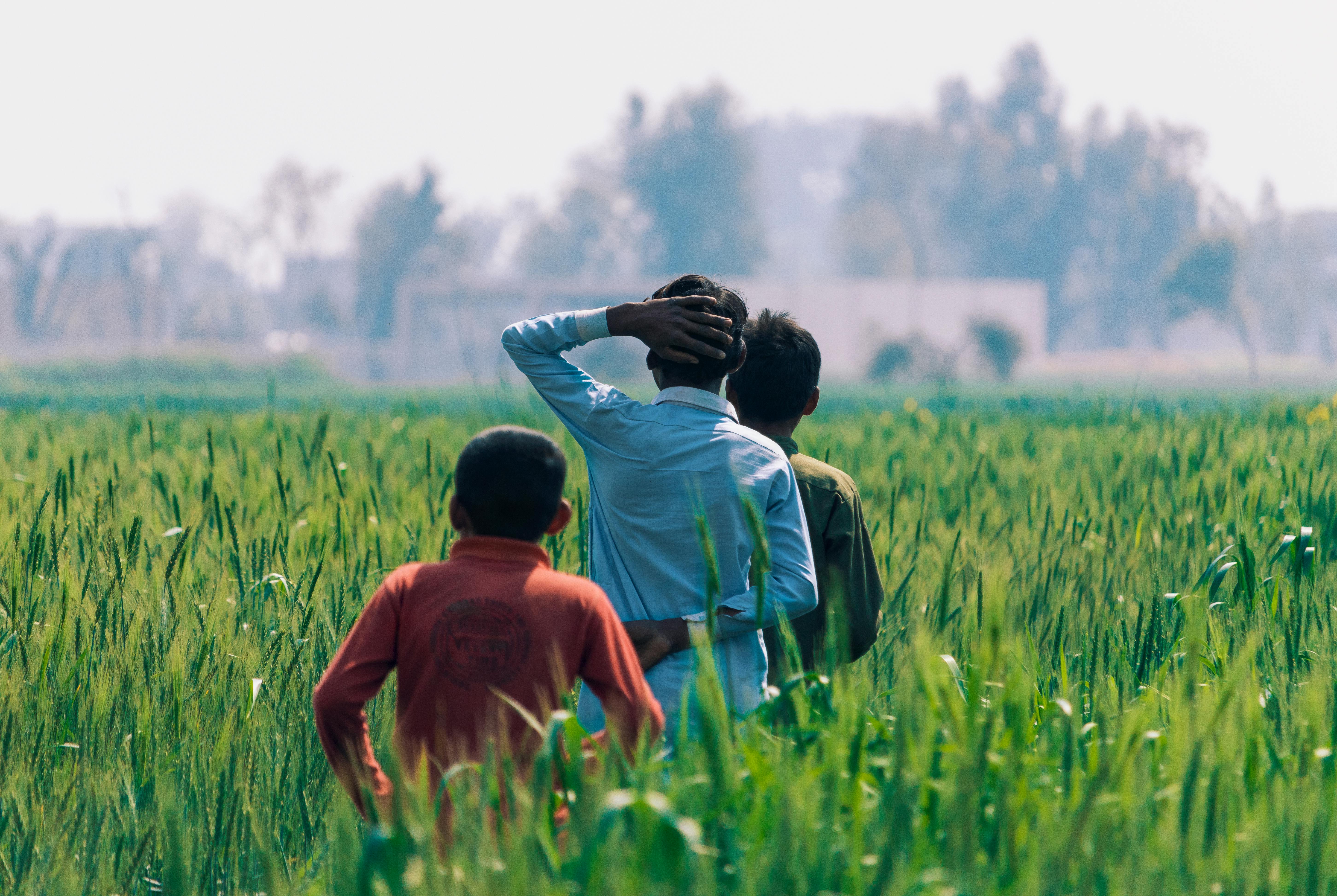 People on a Green Wheat Field · Free Stock Photo