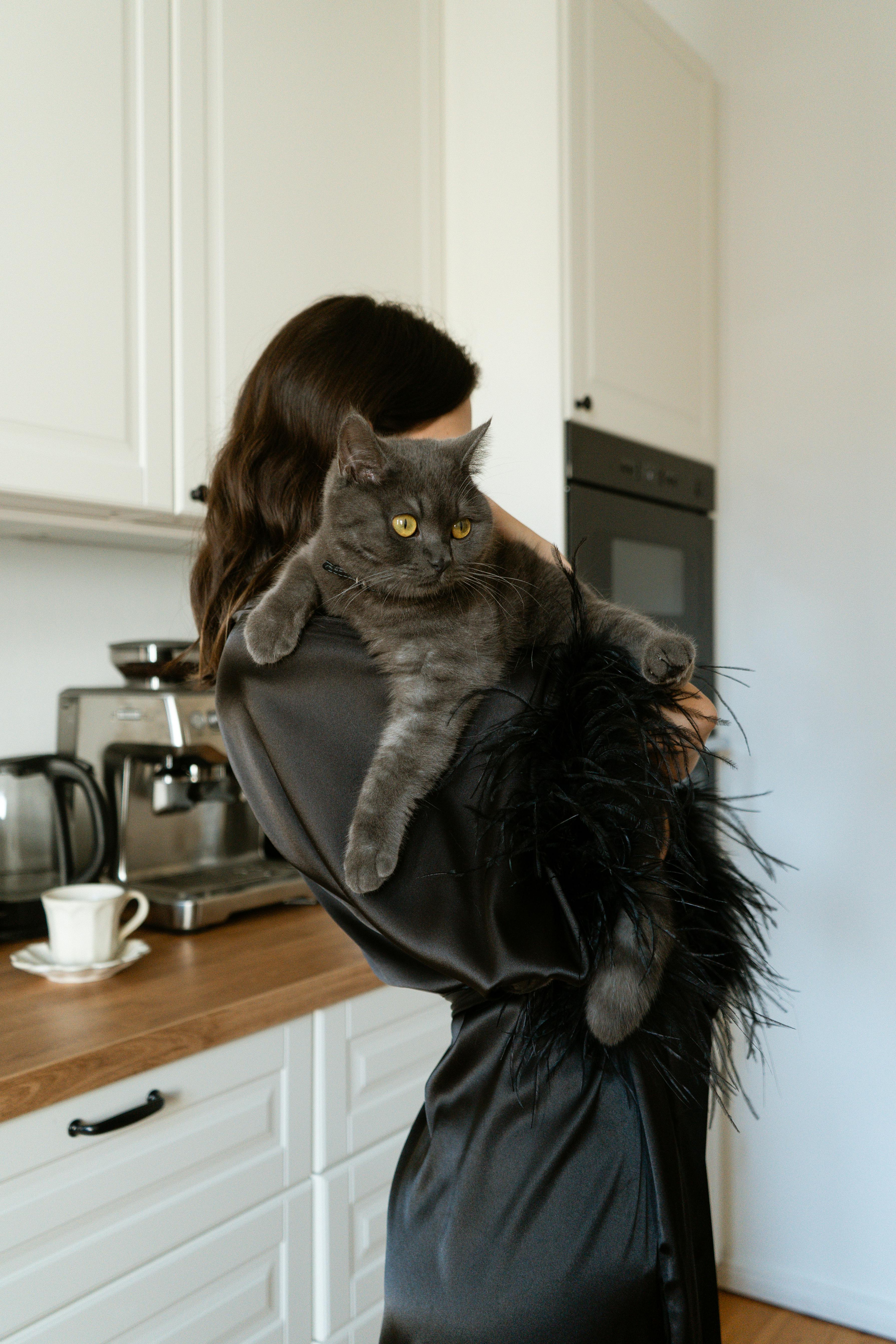 A Woman Carrying Her Cat · Free Stock Photo