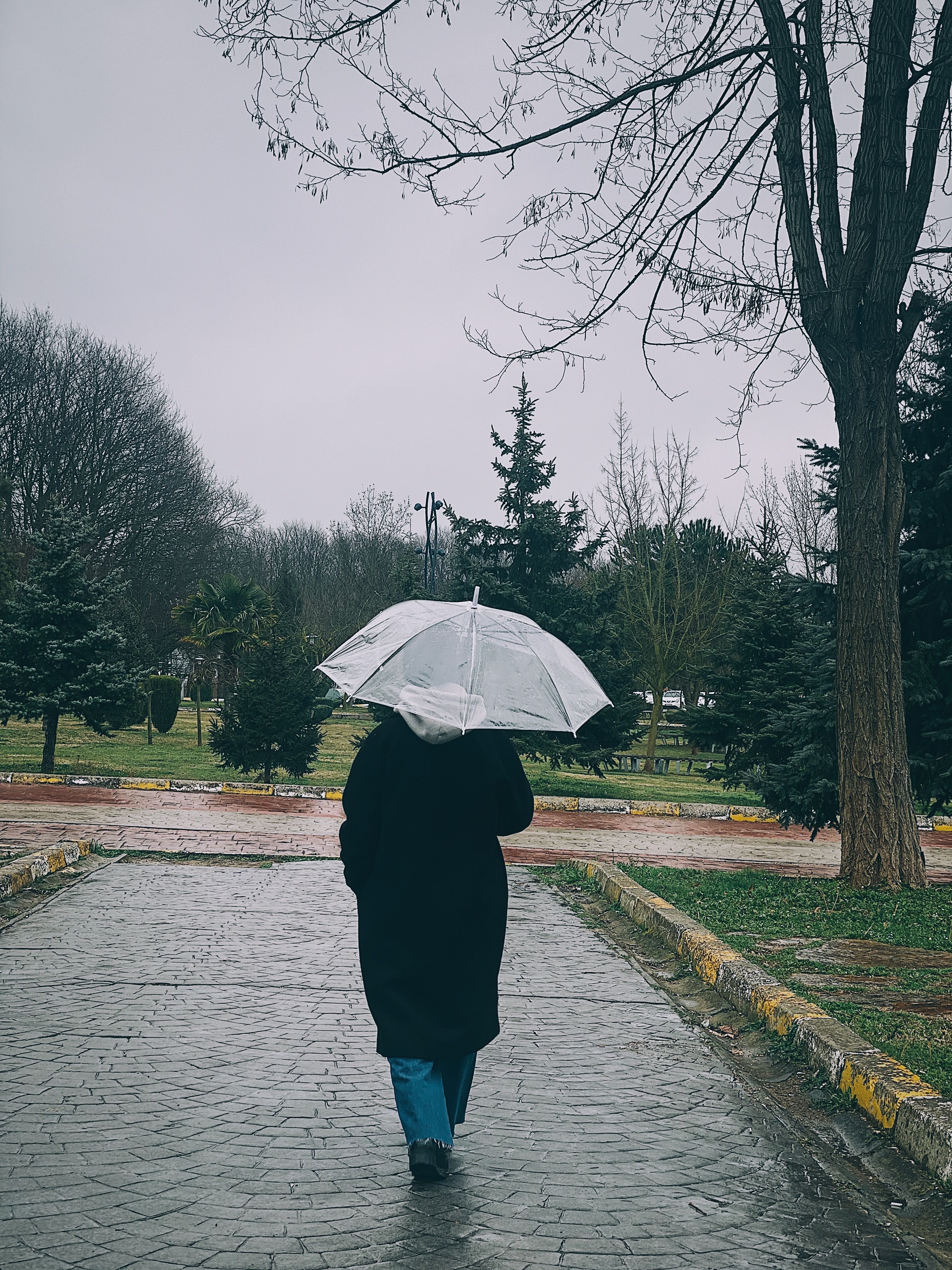 A Person using Umbrella · Free Stock Photo