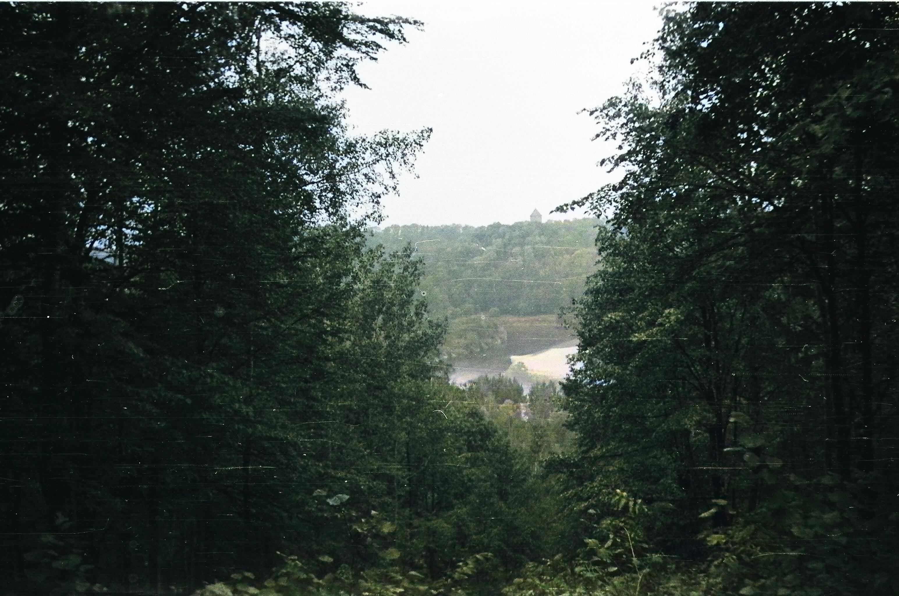 Top View of River and Forest · Free Stock Photo