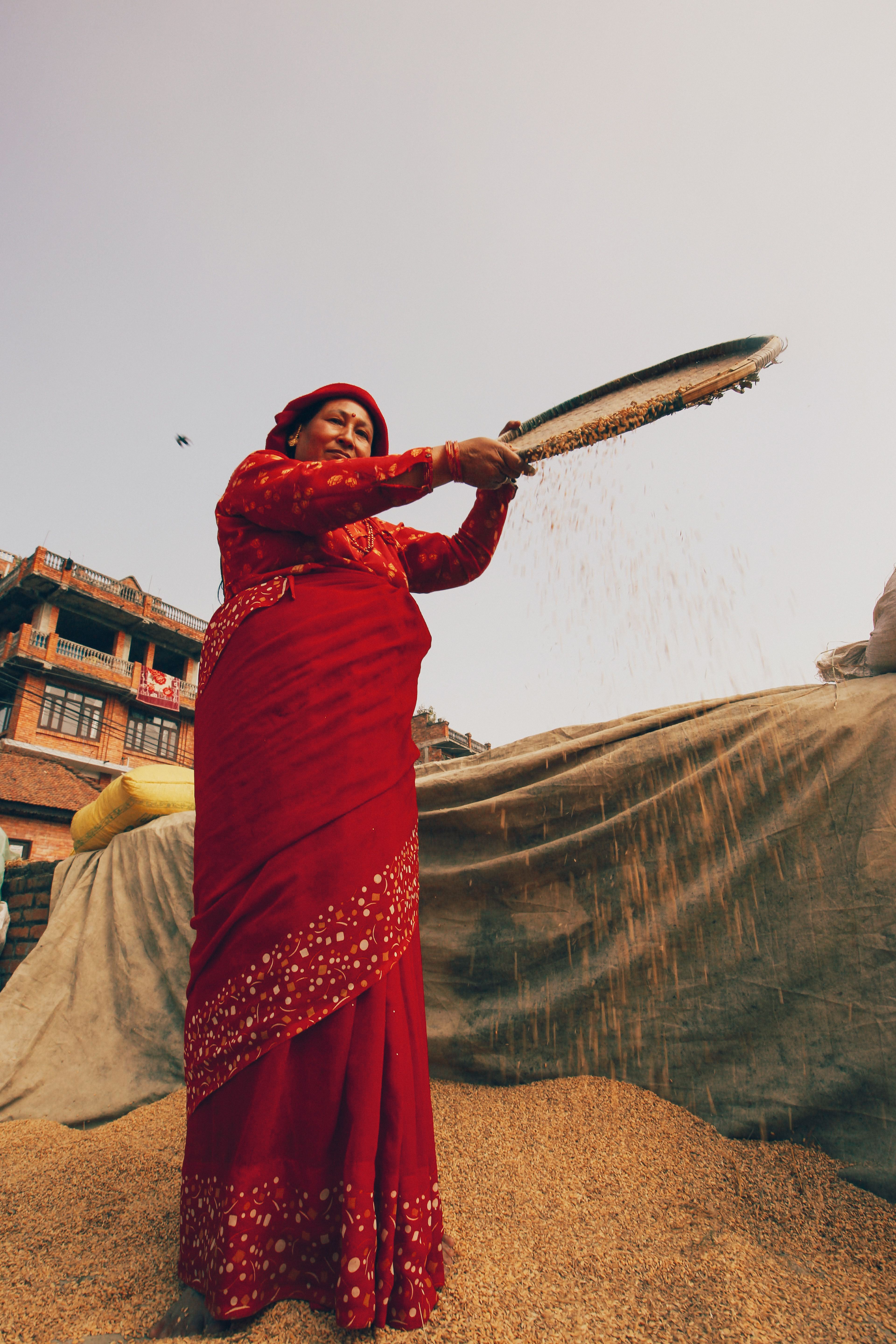 Women Draing Grain in Traditional Way · Free Stock Photo