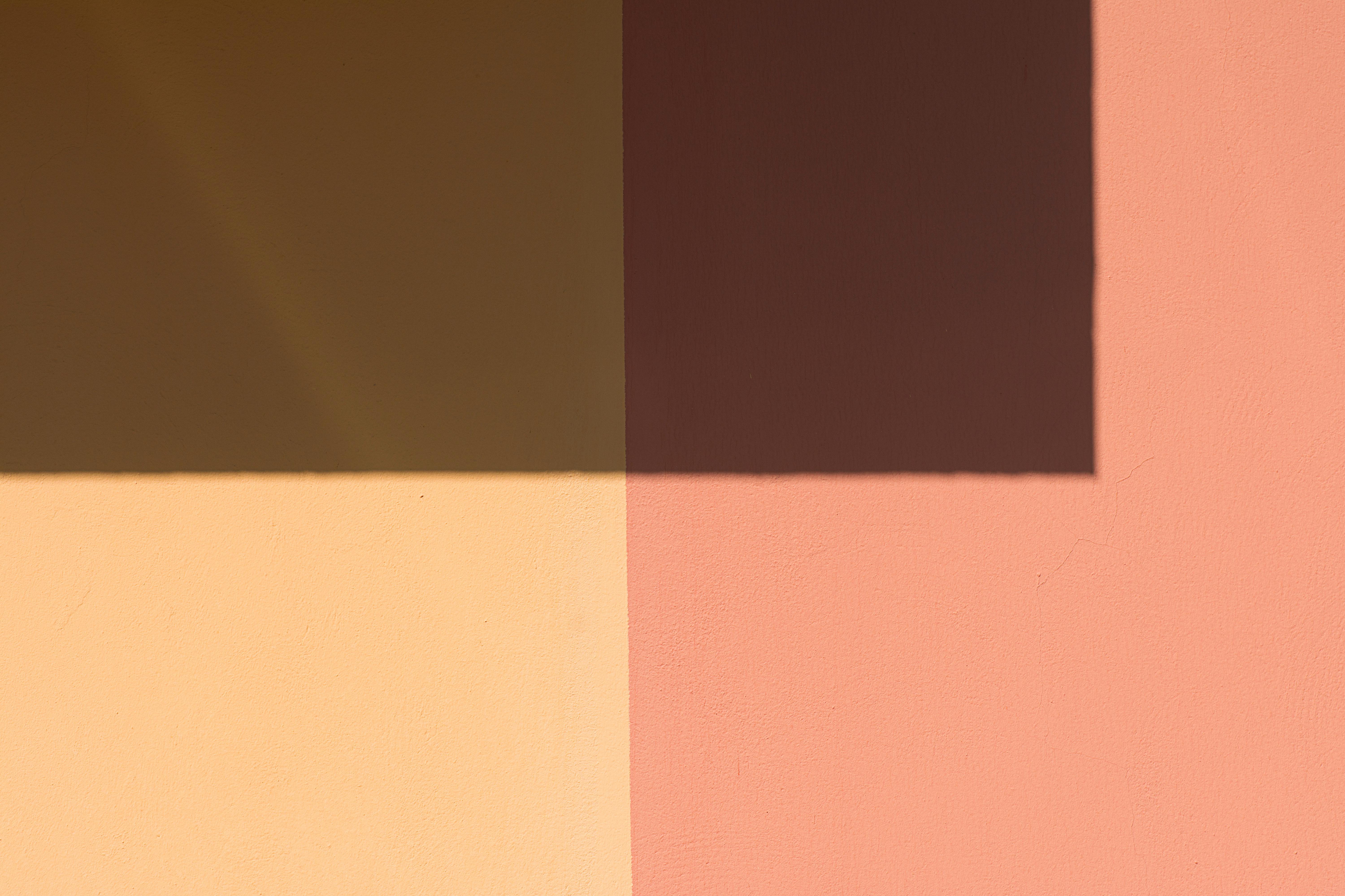 Red Plant on Gradient Background · Free Stock Photo