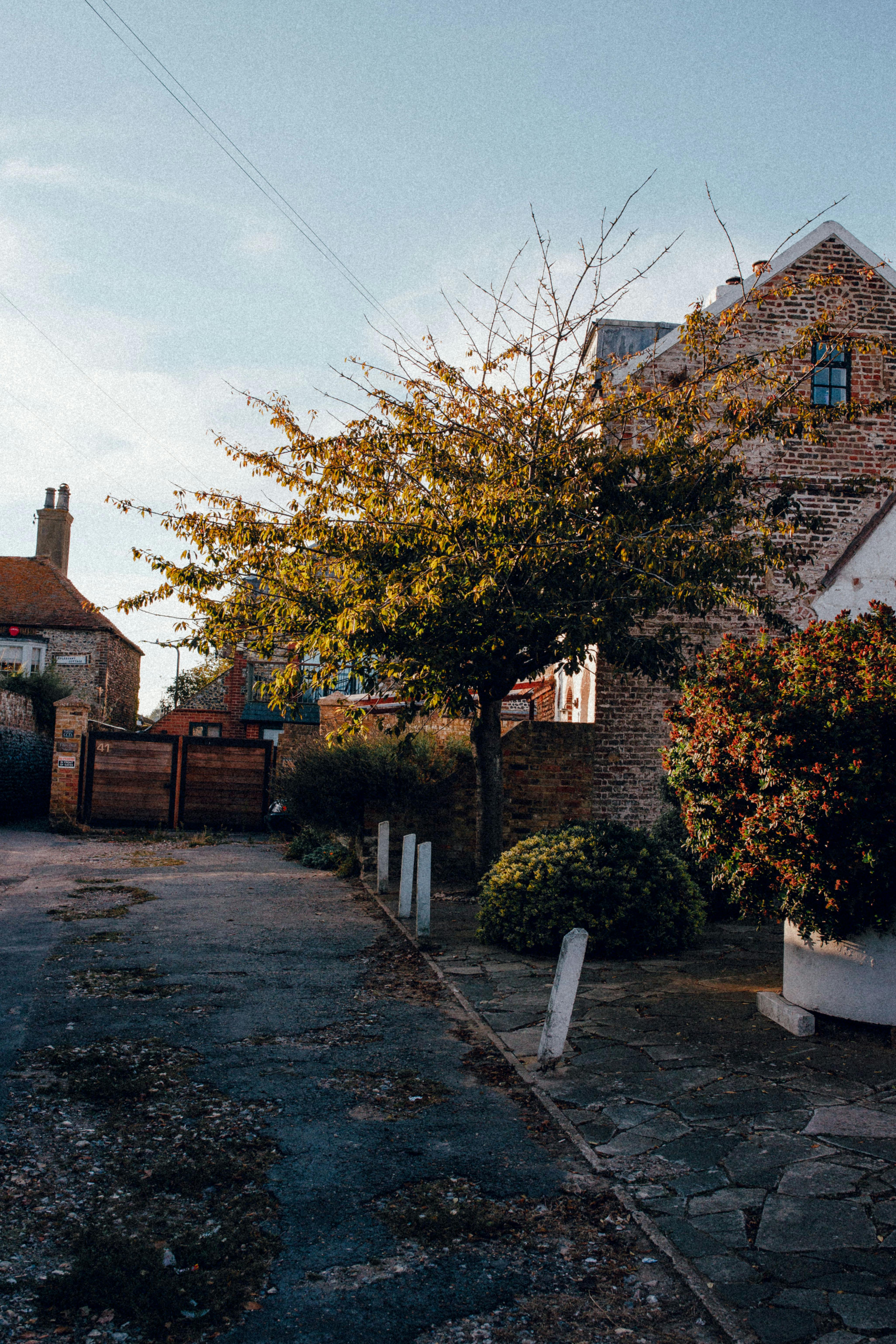 Street and Tree near Buildings in Town · Free Stock Photo