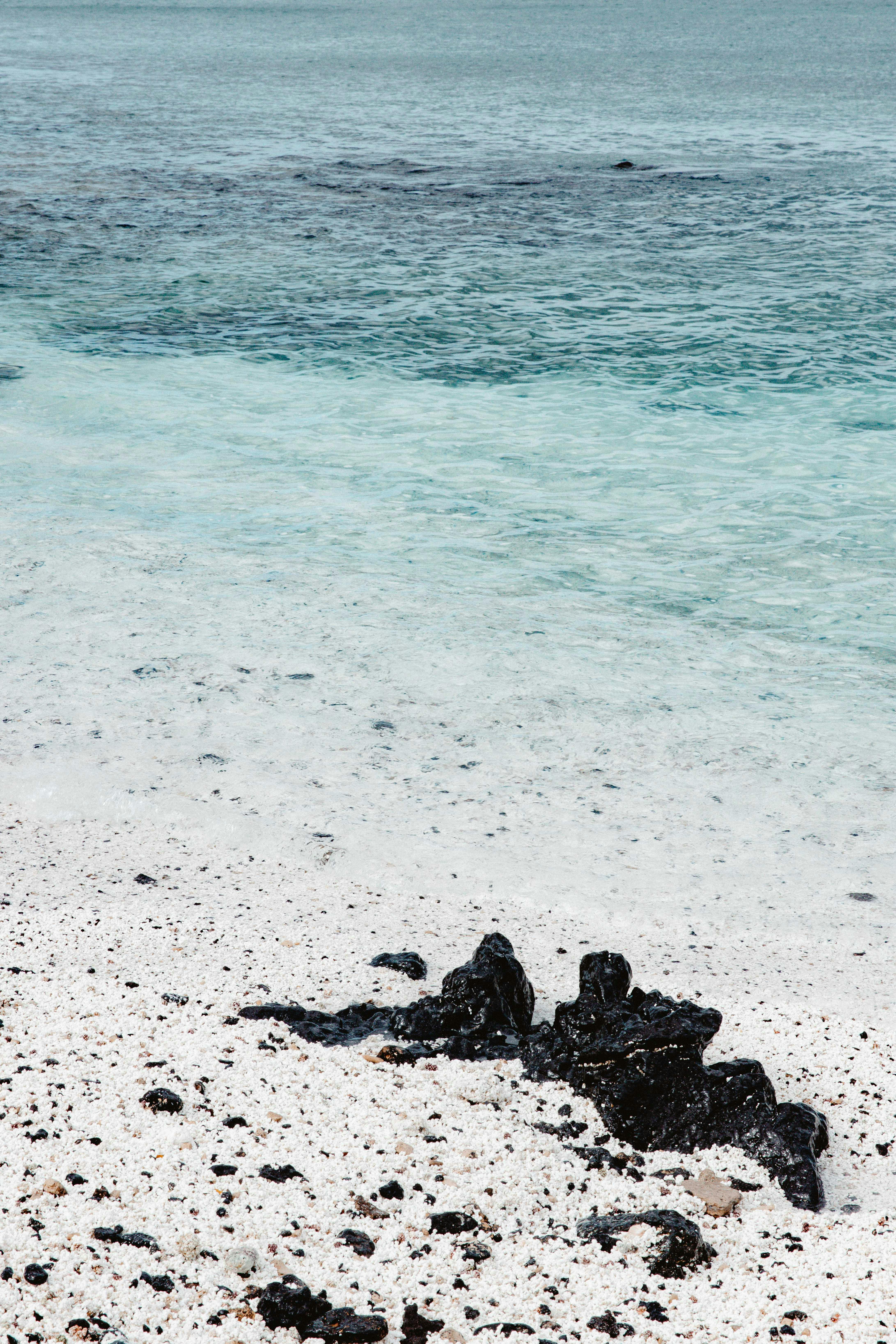 Black Rocks on Seashore · Free Stock Photo
