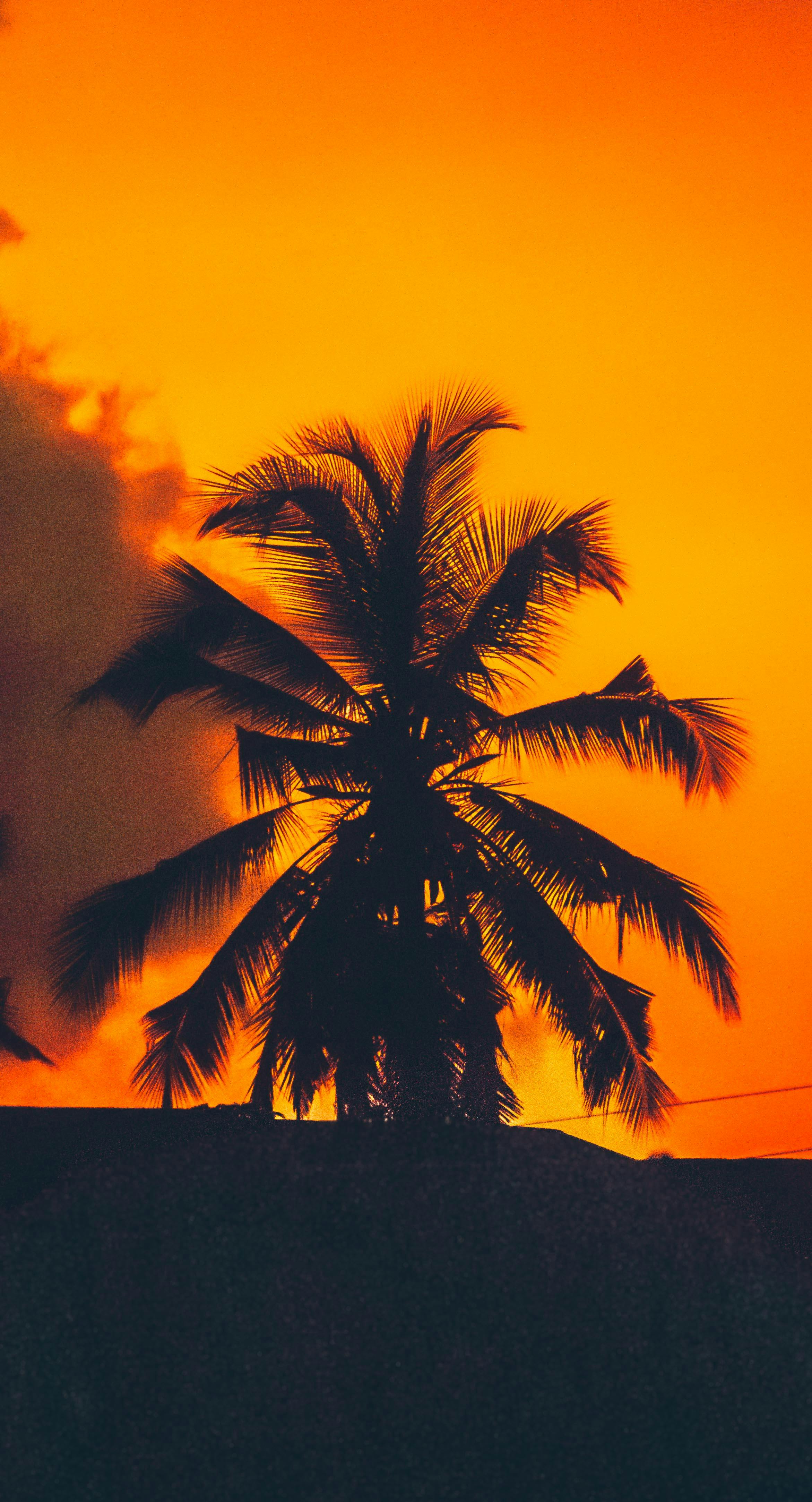 Jeff Kweba - Photography