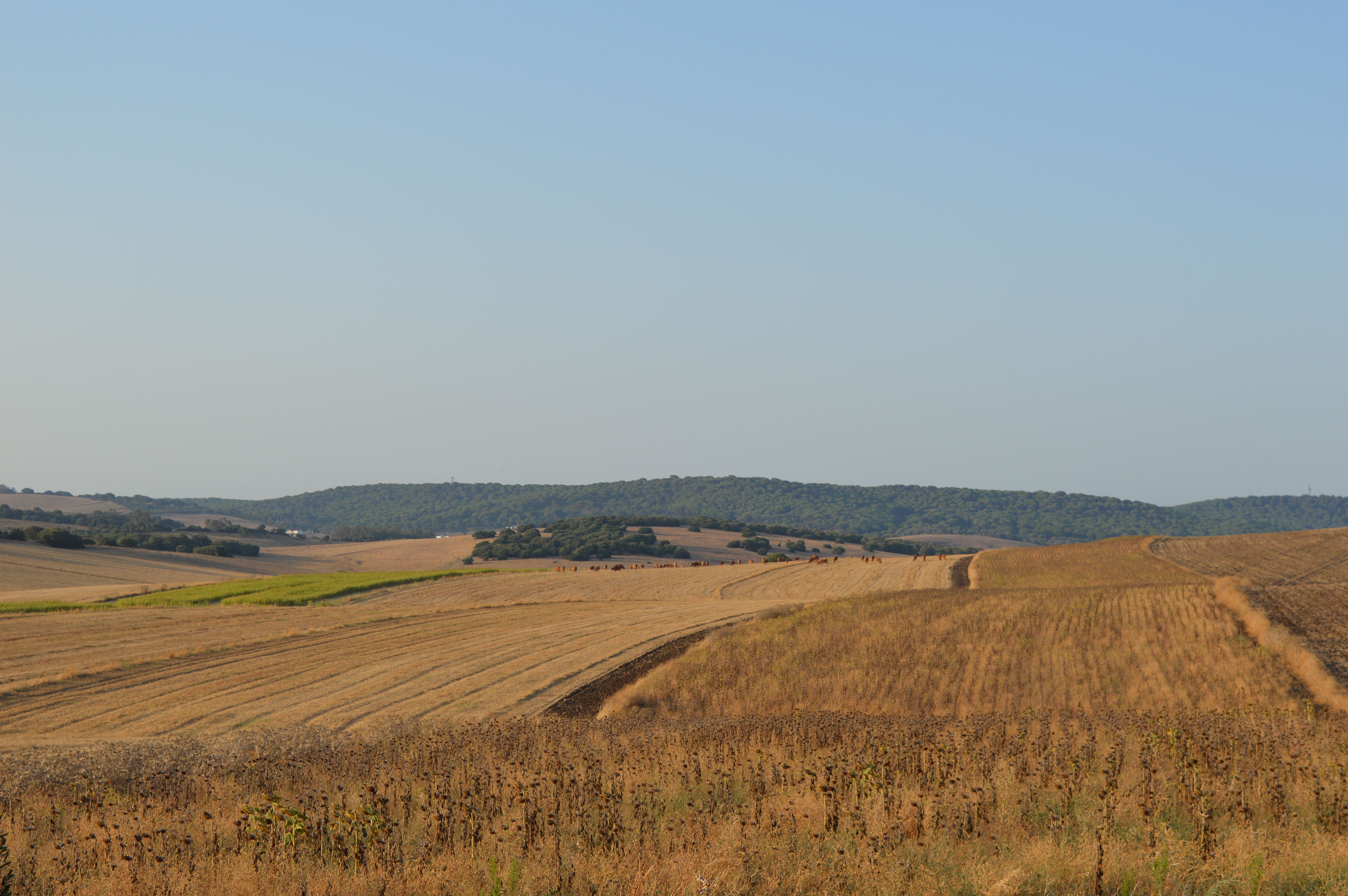 Farmlands Photos, Download The BEST Free Farmlands Stock Photos & HD Images