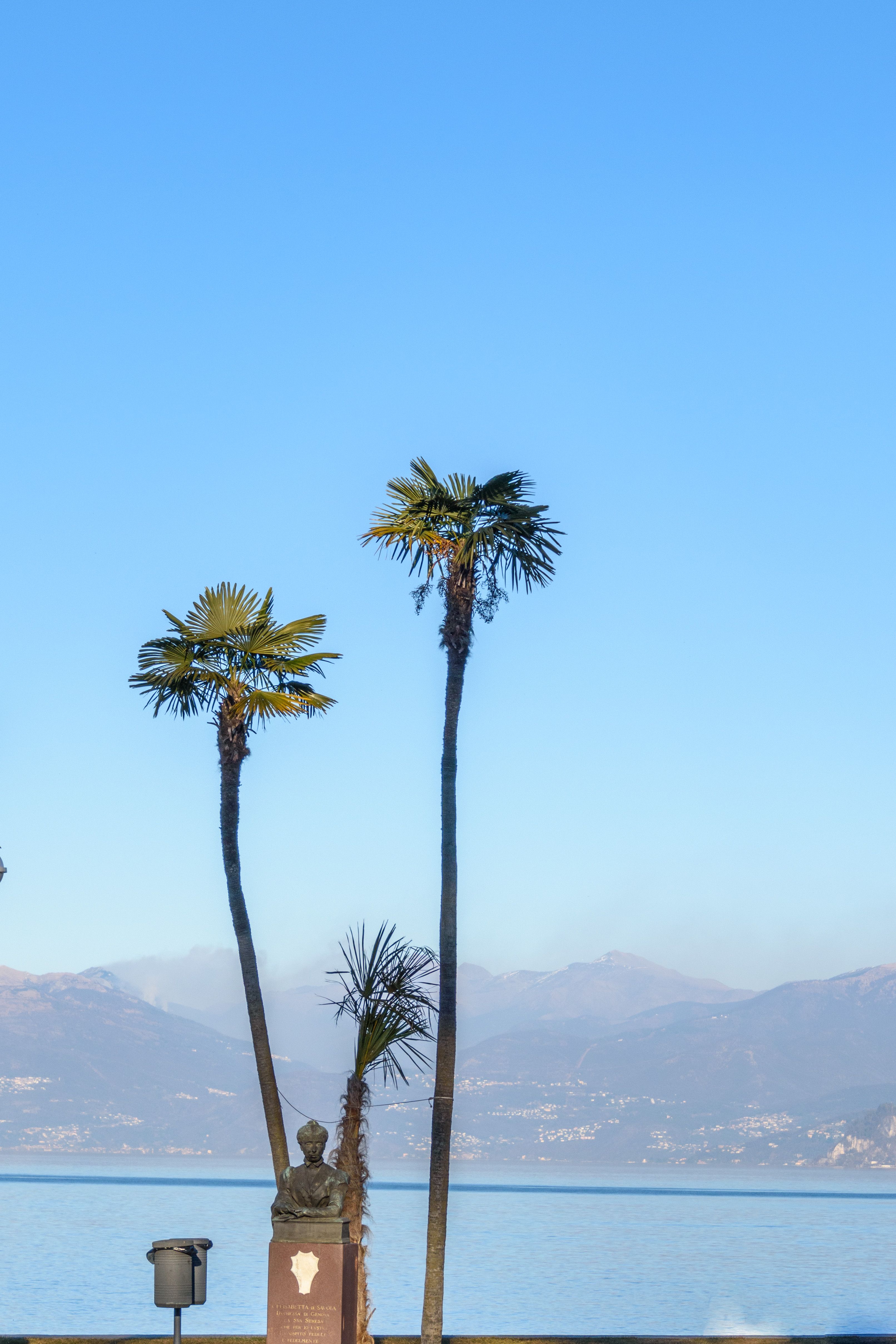 Monument Between Palm Trees · Free Stock Photo