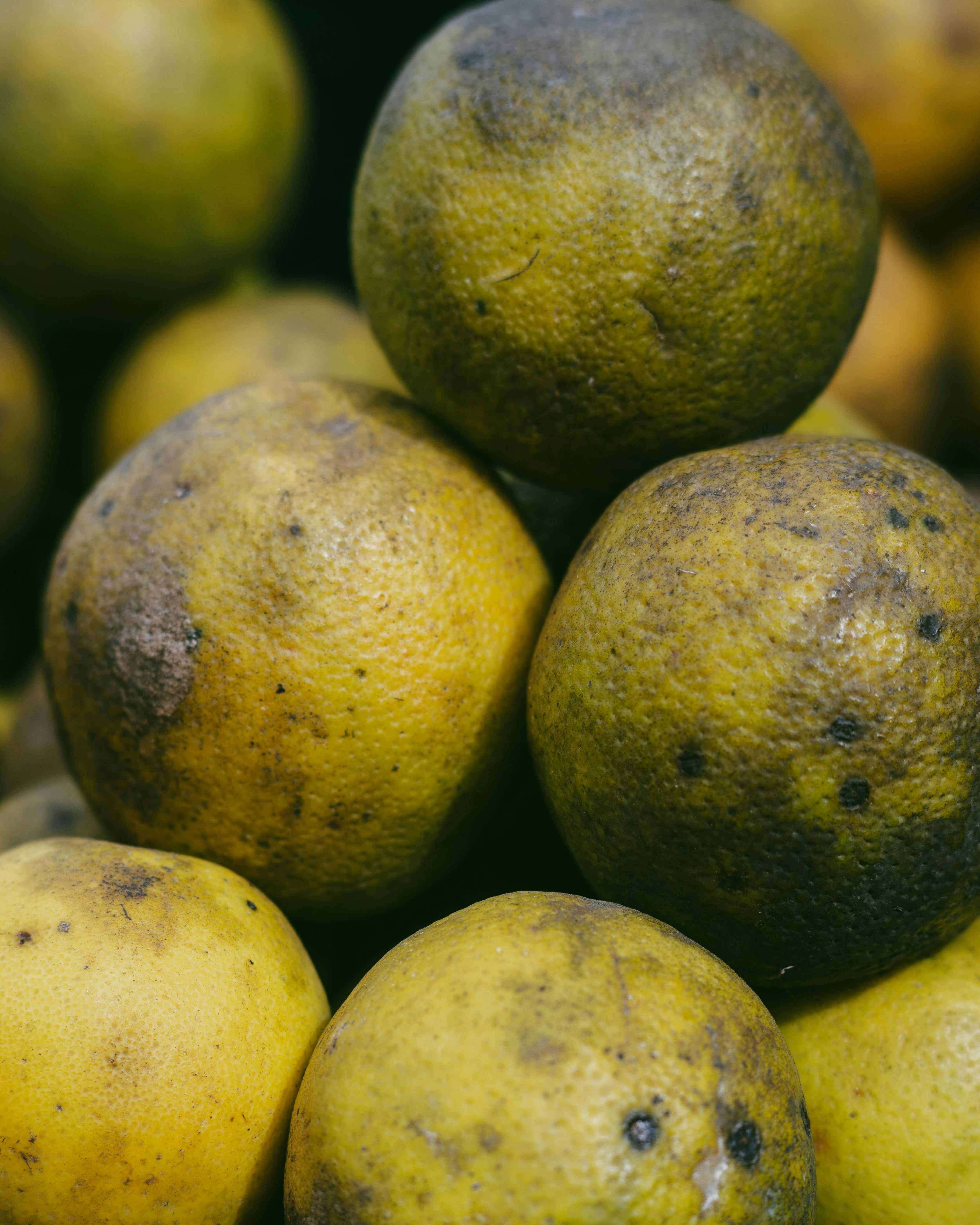 Green Lemons Photos, Download The BEST Free Green Lemons Stock Photos ...