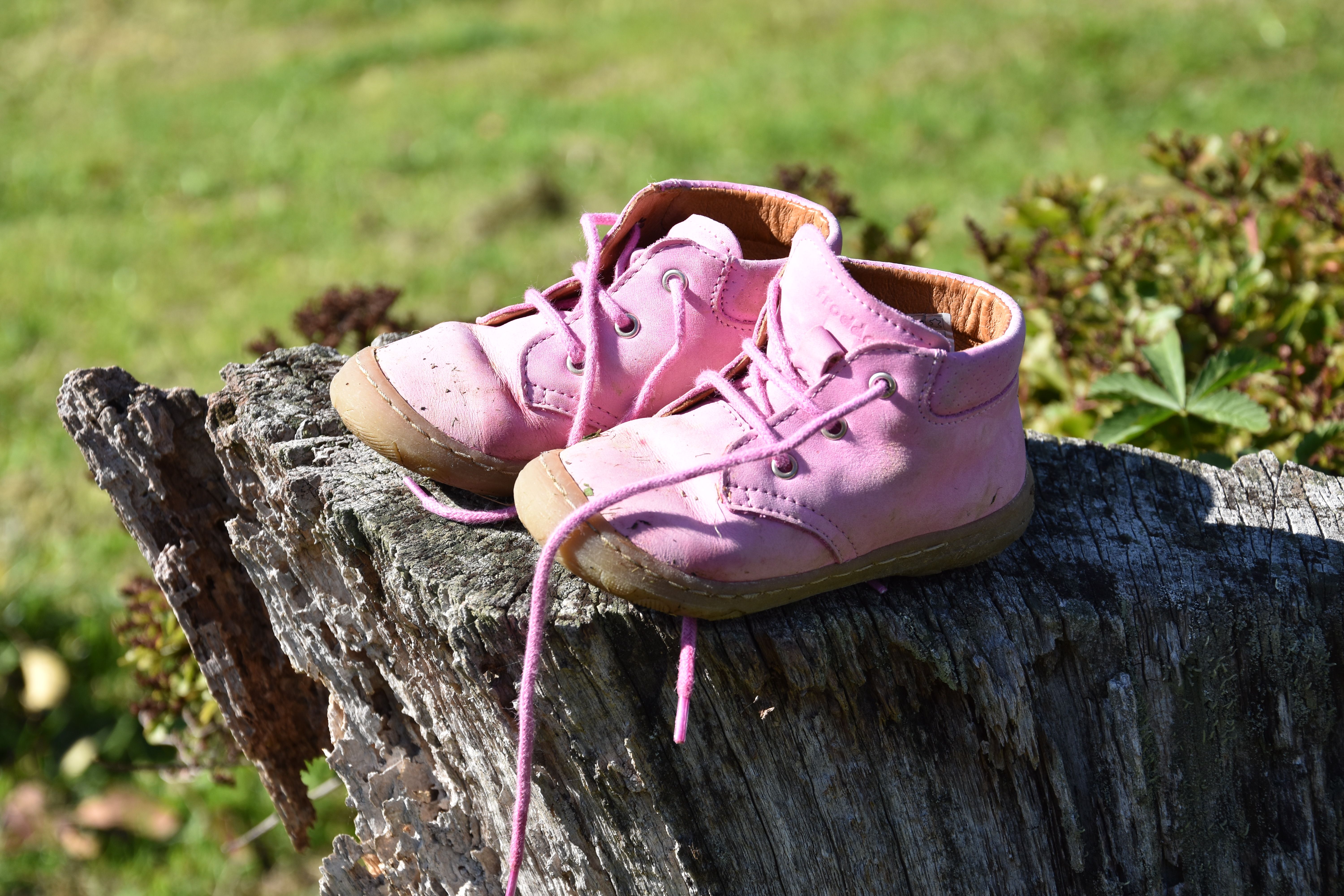 Pair of Pink Shoes on Tree Trunk · Free Stock Photo
