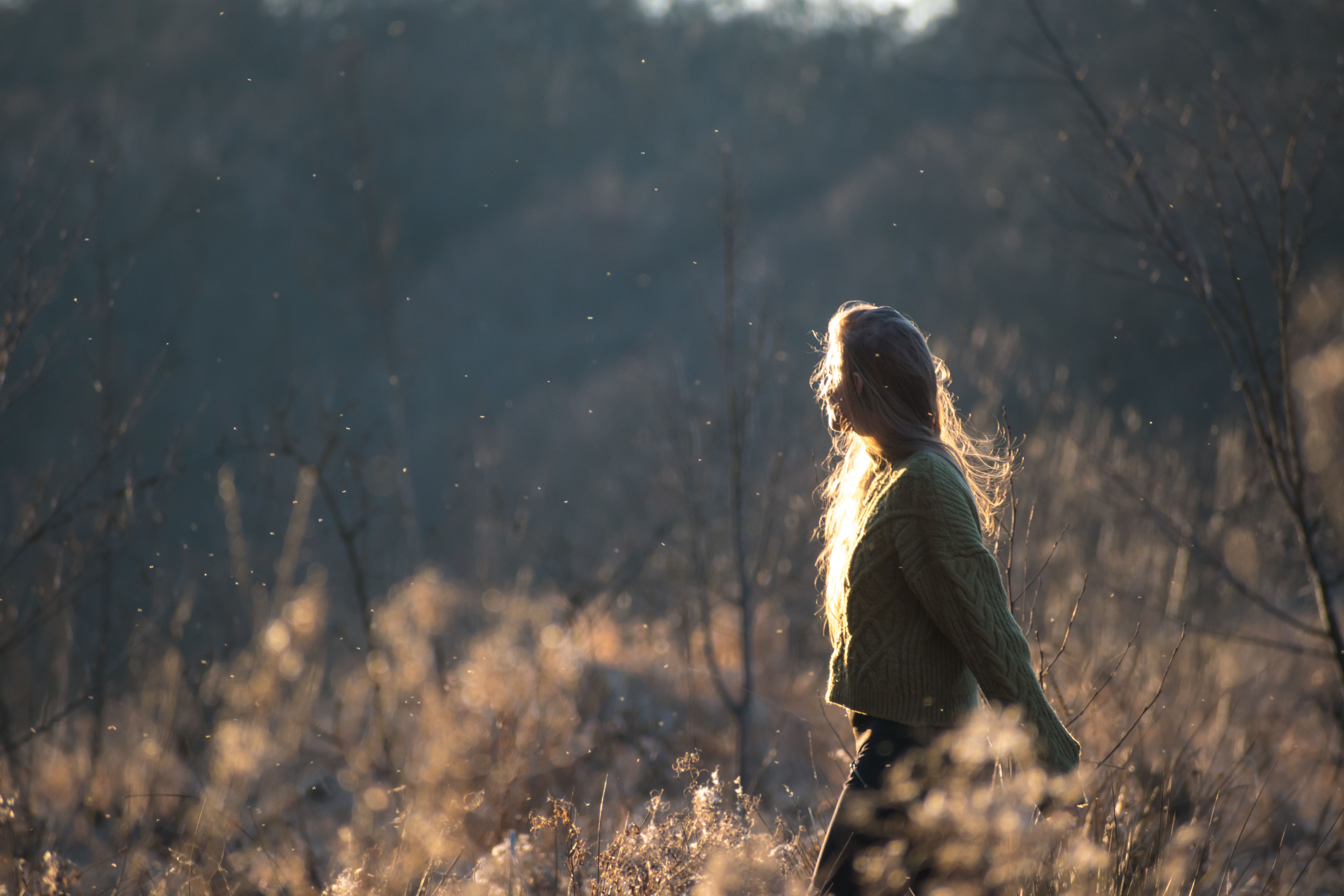 Person walking through field at dawn · Free Stock Photo