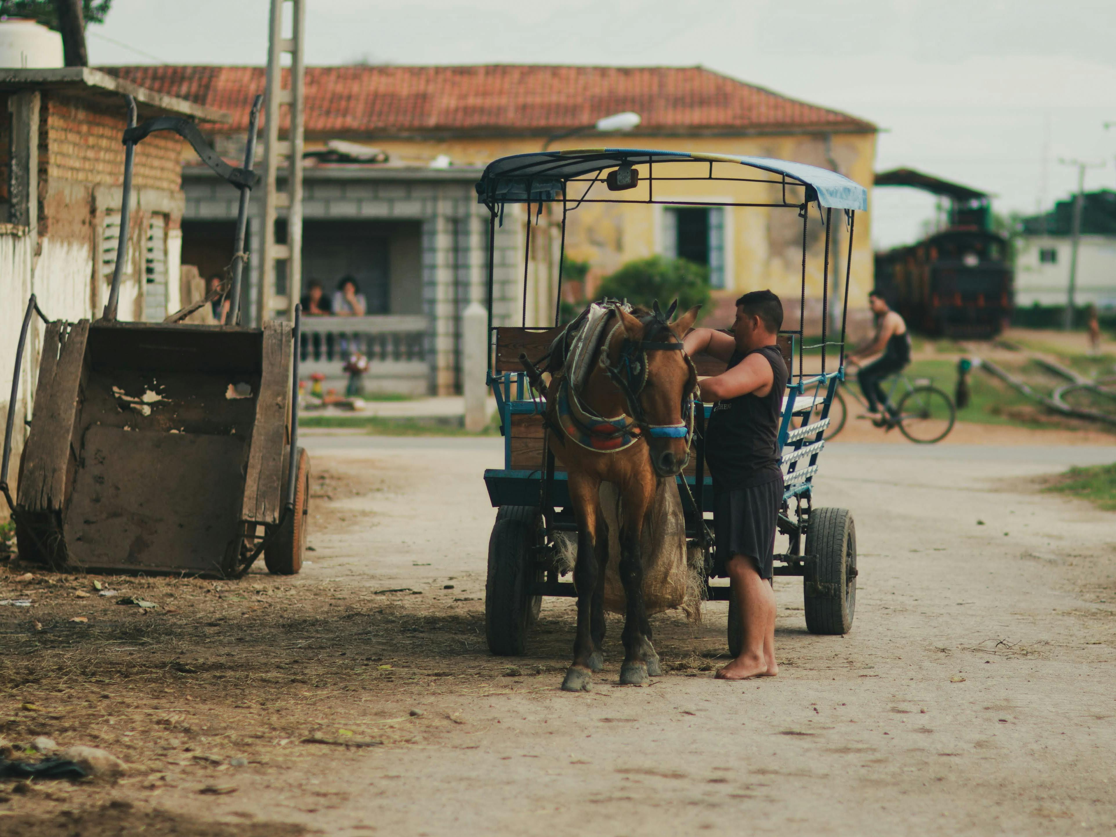 Farm Wagon Photos, Download The BEST Free Farm Wagon Stock Photos & HD ...