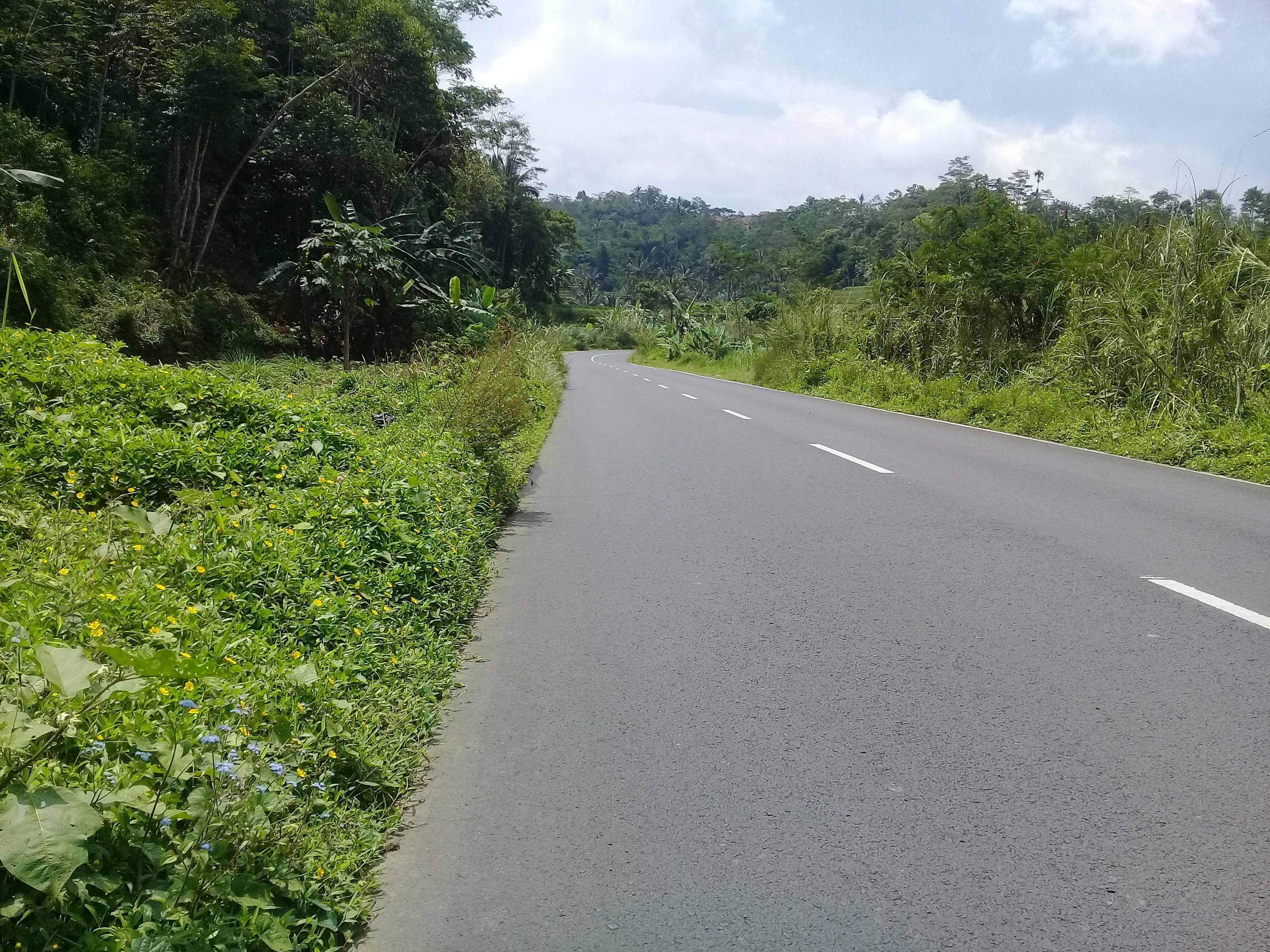 41 fotos y vídeos de photo guardados por Jonko Belashop