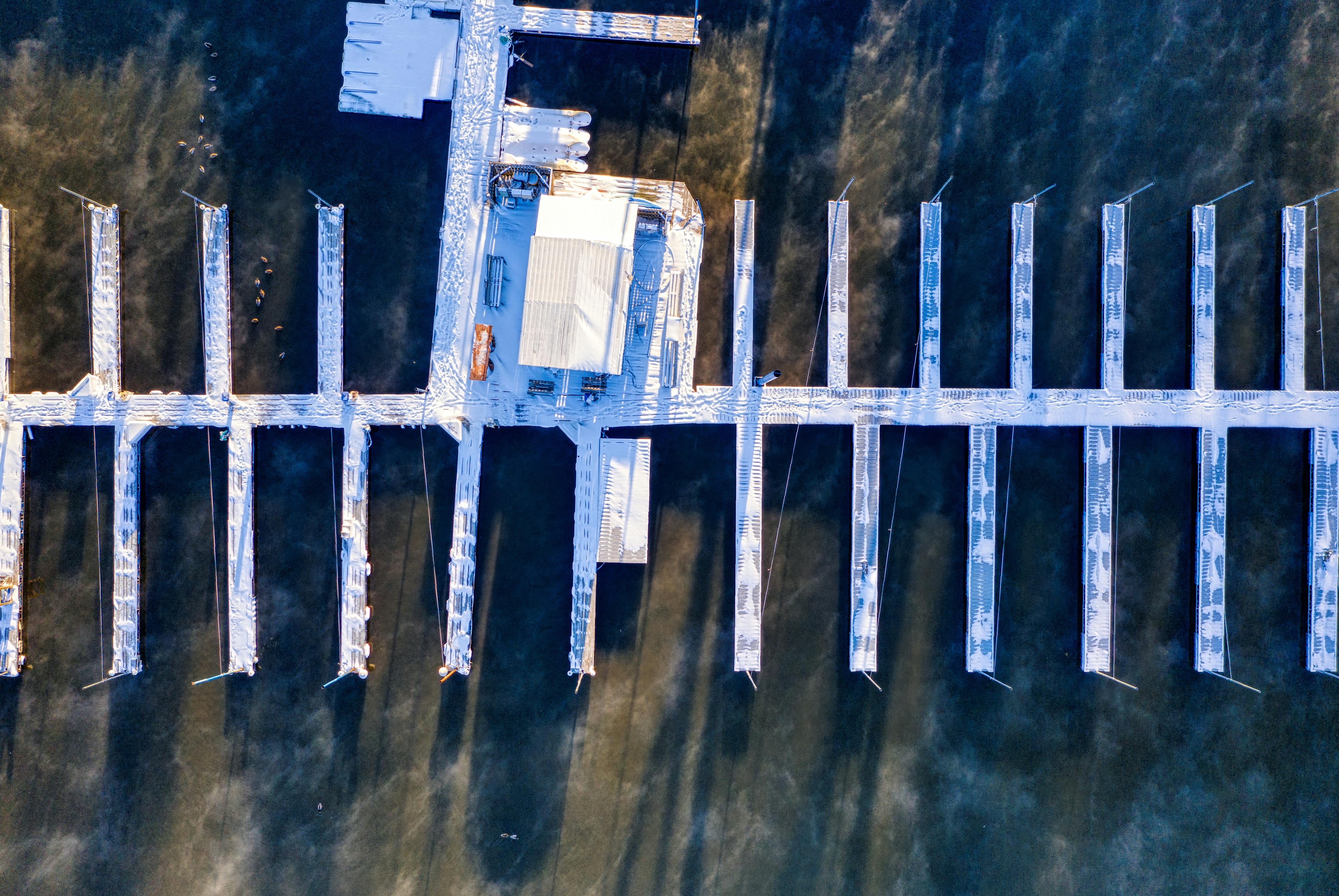 Top View of Boats in the Harbor · Free Stock Photo