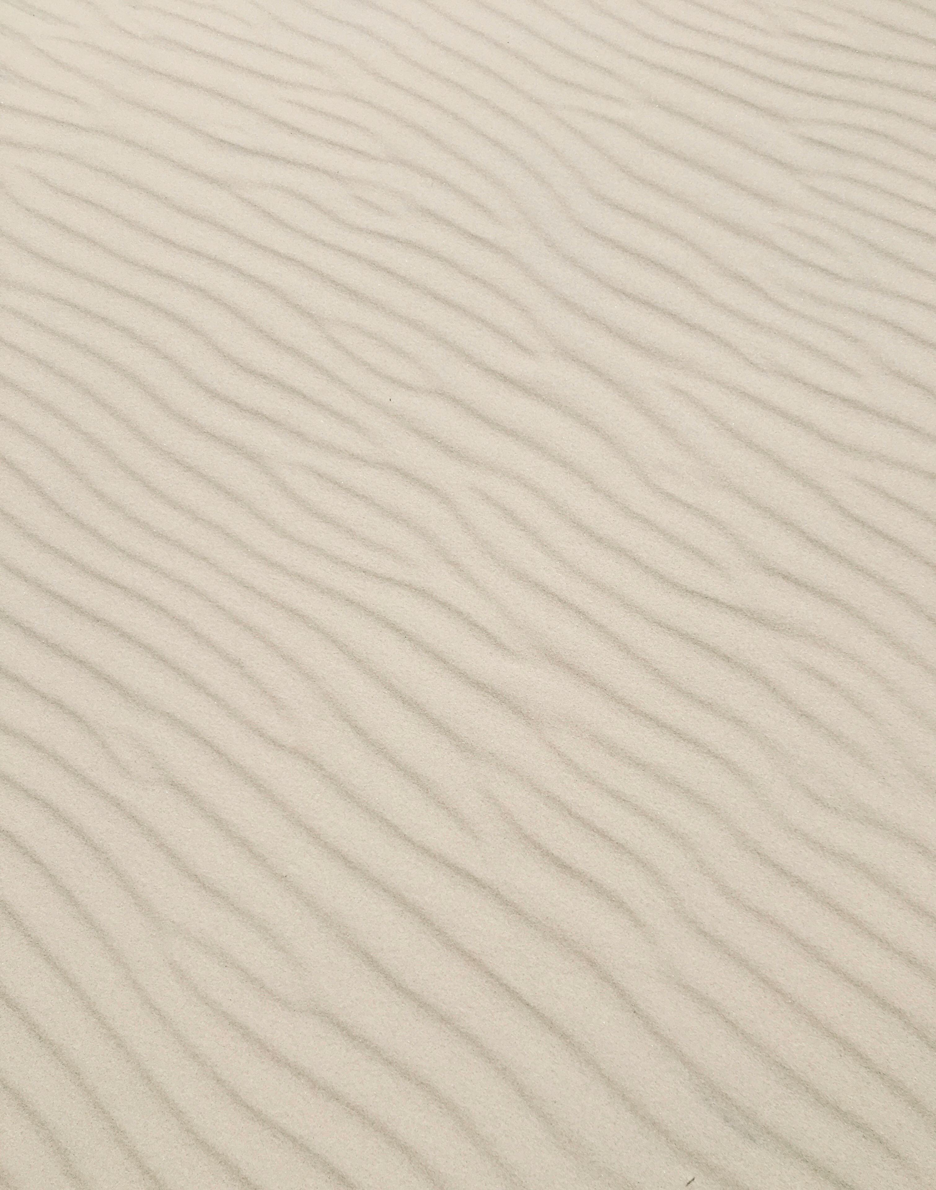 Texture of Pale Sand · Free Stock Photo