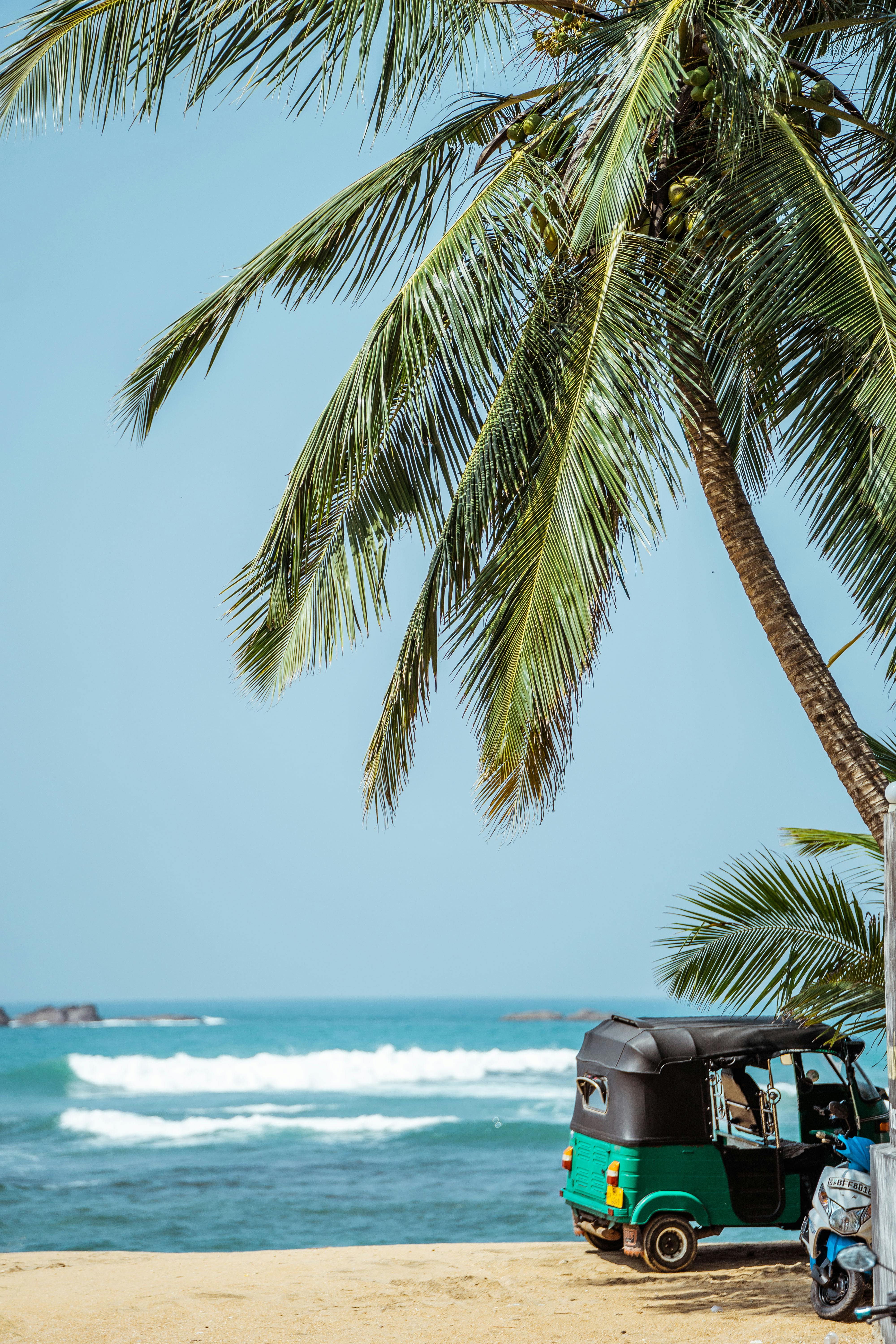 Small Car at a Beach with Coconut Palm · Free Stock Photo