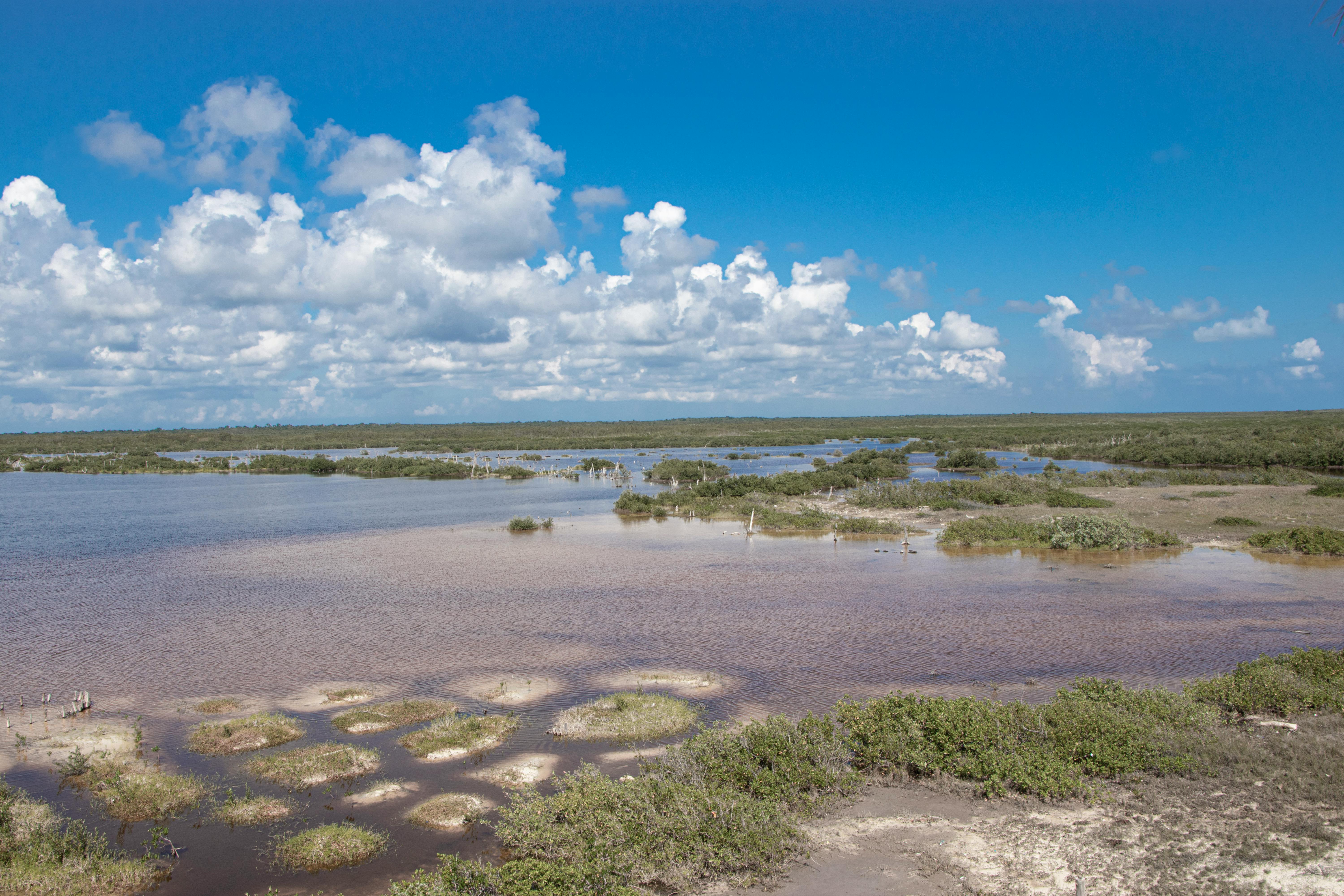 Landscape with Swamp and Clouds in Sky · Free Stock Photo