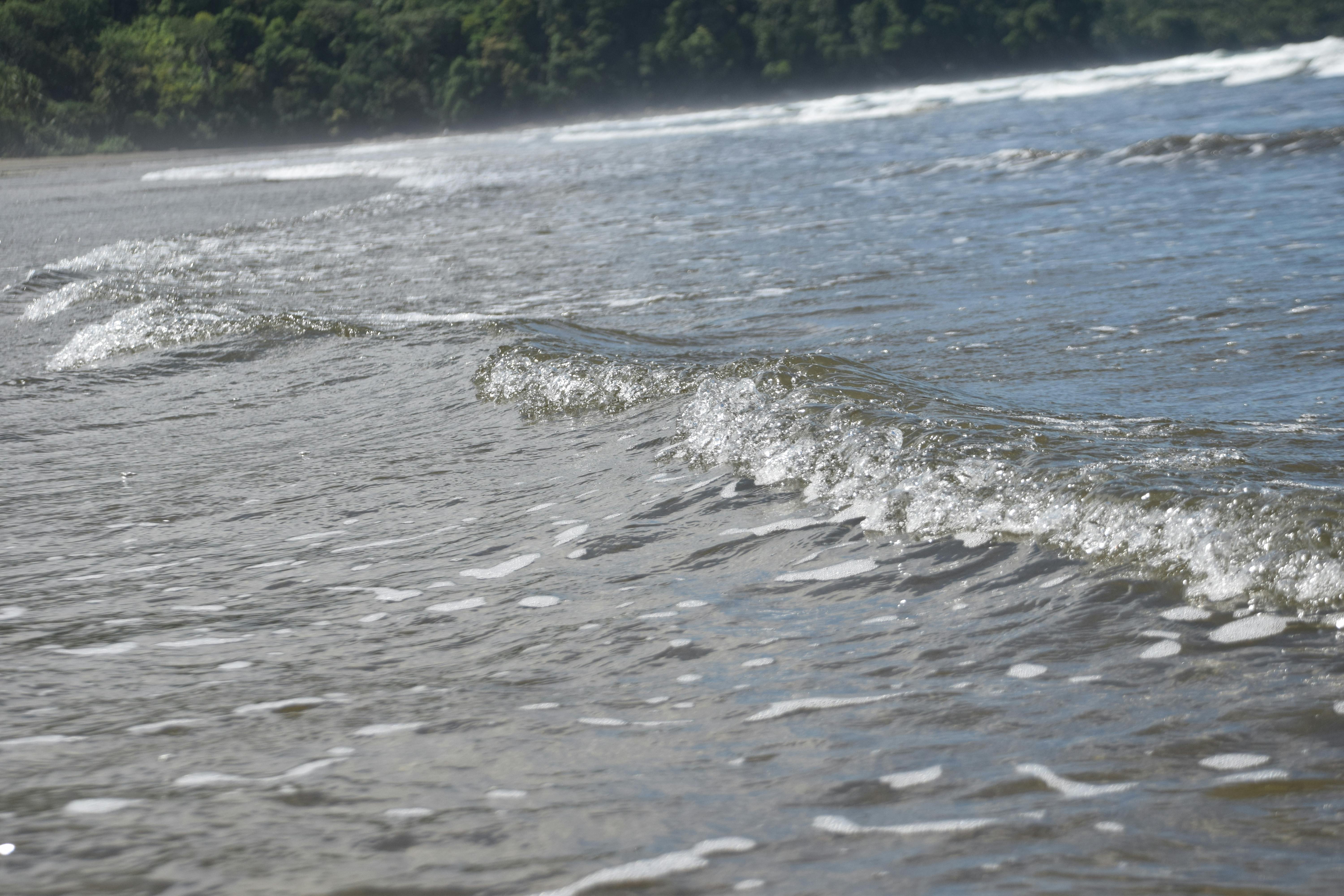 Free stock photo of forest, nautical, sea