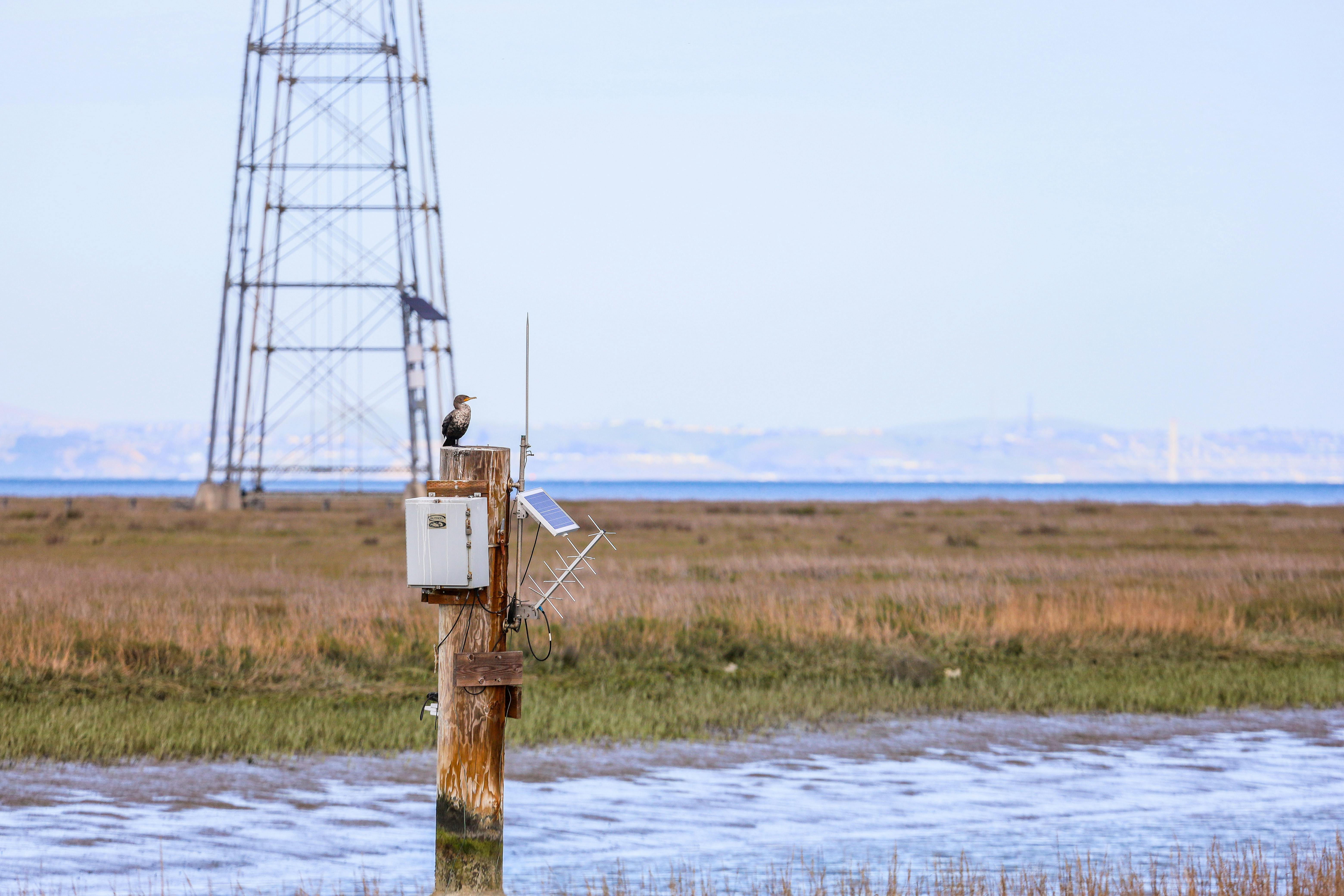 Weathered Lighthouse Overlooking Blue Sea · Free Stock Photo