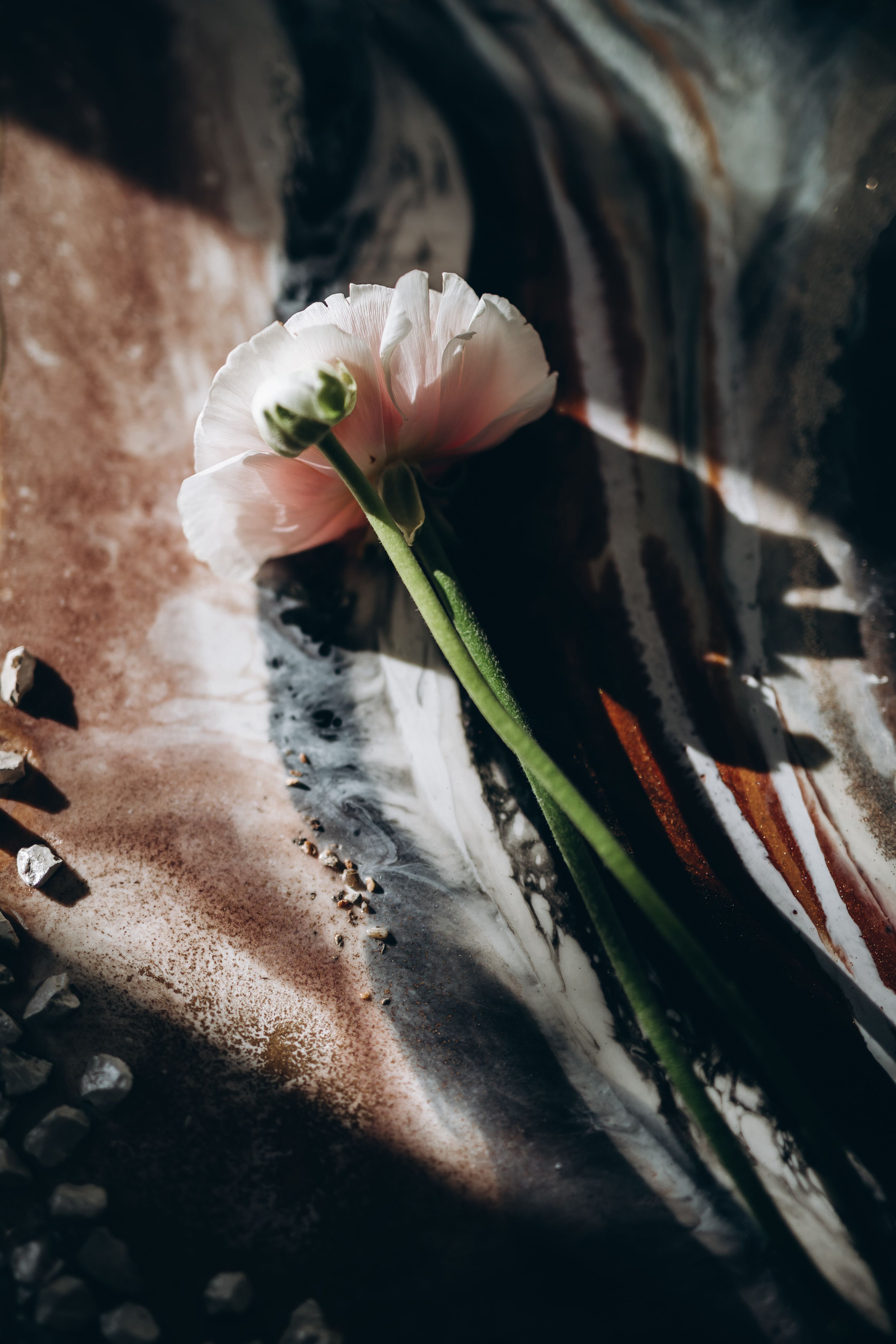 Flower Painting Background Photos, Download The BEST Free Flower ...