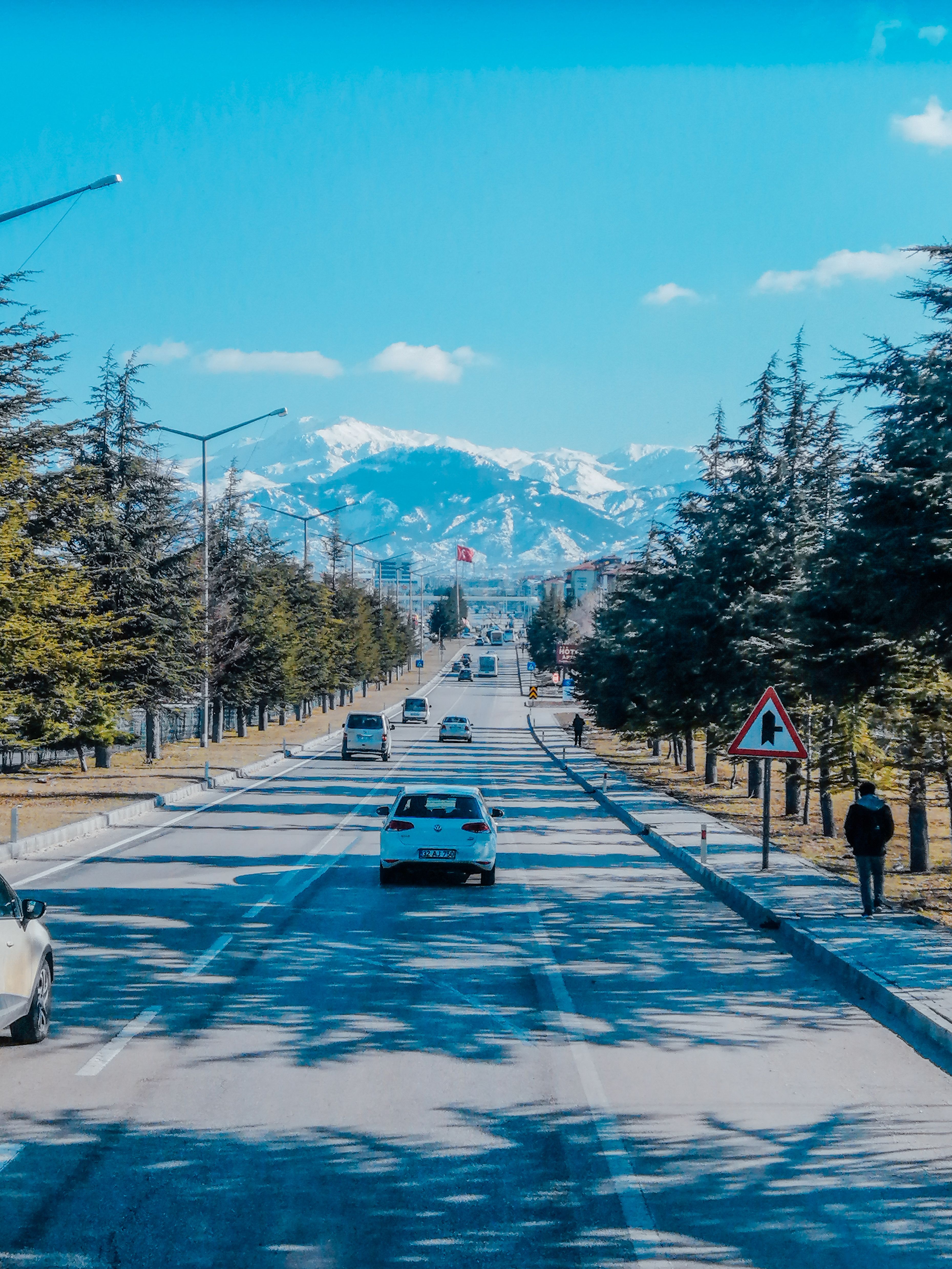 Motor Vehicles on the Road · Free Stock Photo