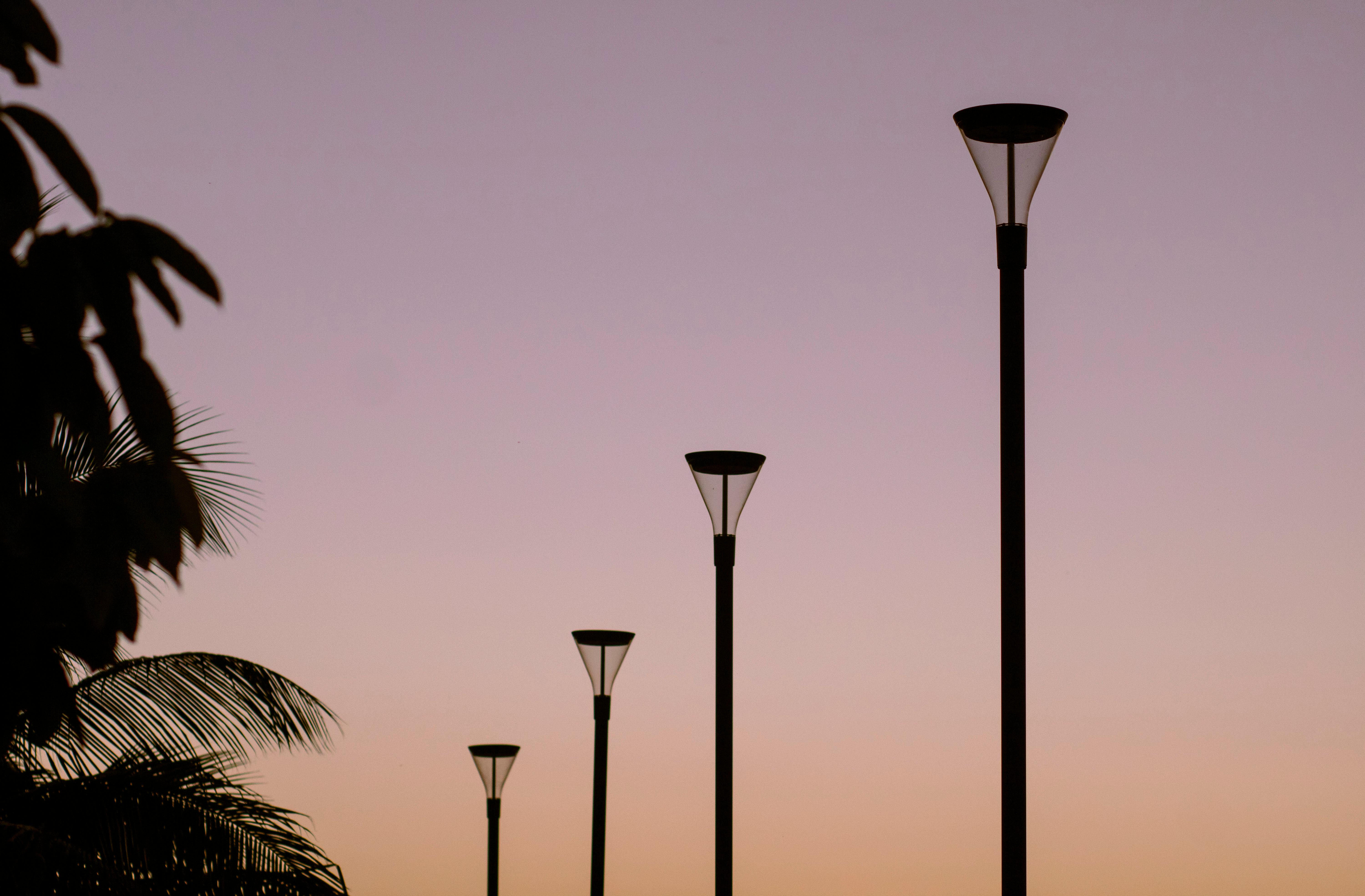 Black Street Light Posts during Sunset · Free Stock Photo