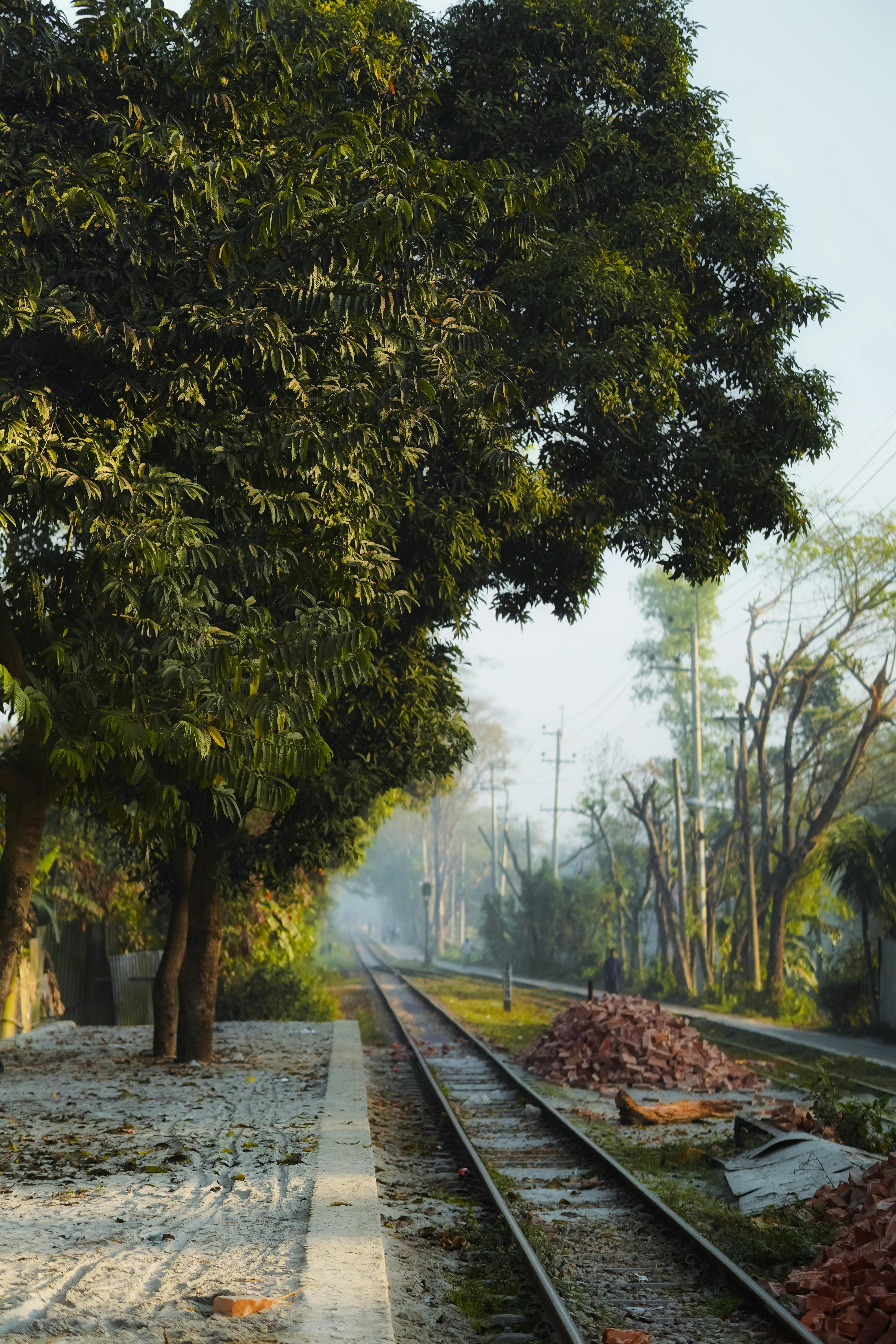 Railway Tracks Near Trees · Free Stock Photo