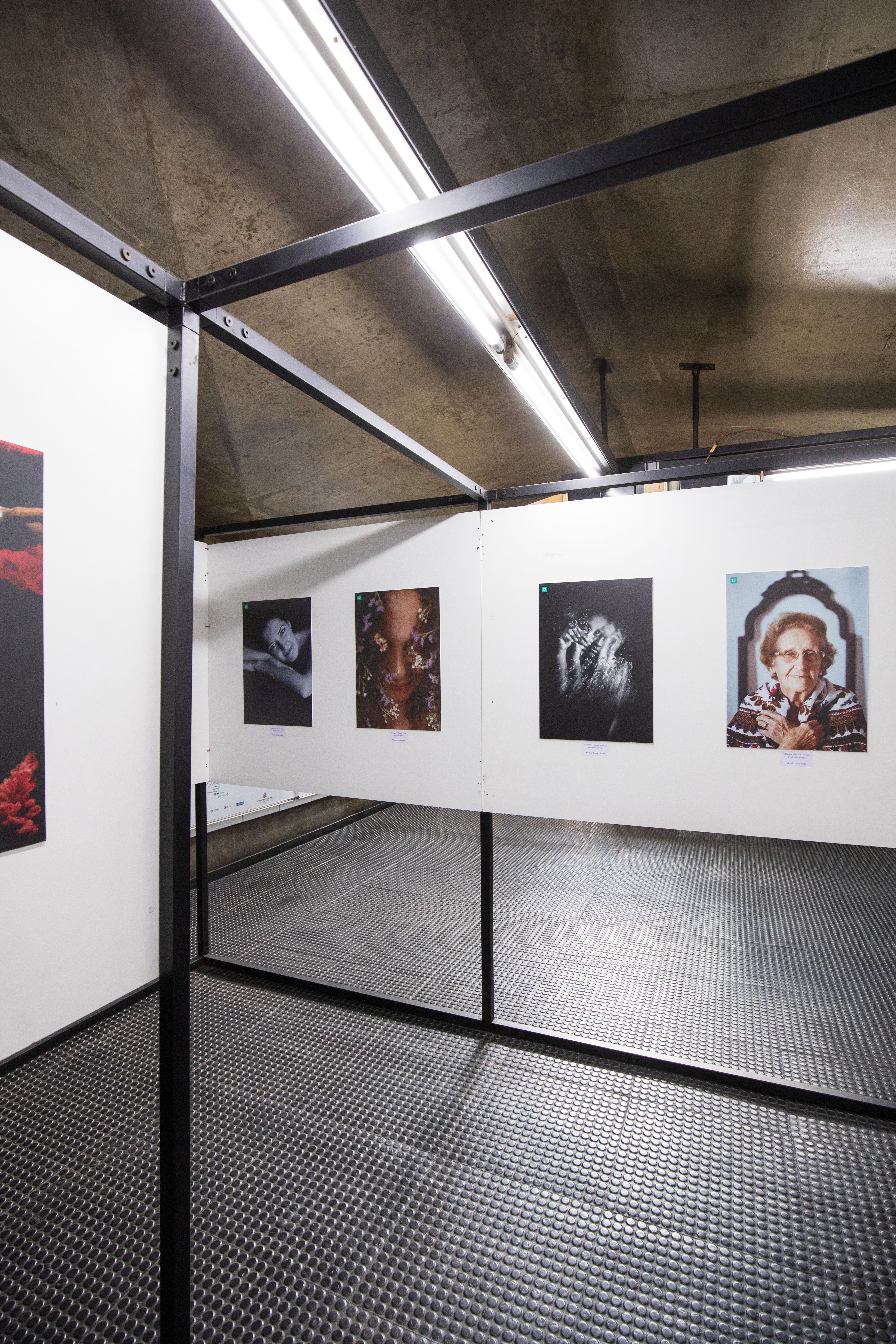 Art Exhibition Inside an Illuminated Room · Free Stock Photo
