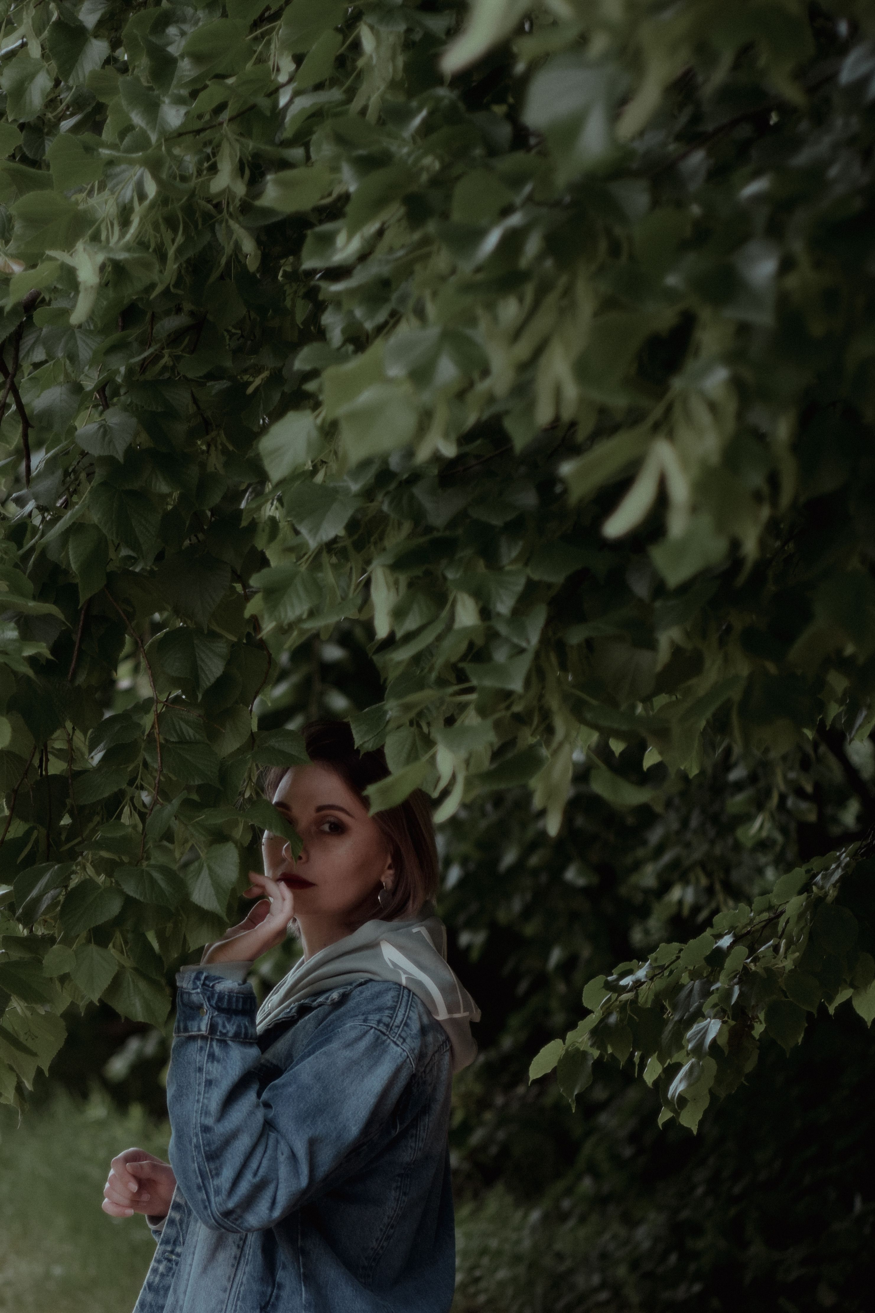 Woman in Denim Jacket Standing Under the Tree · Free Stock Photo
