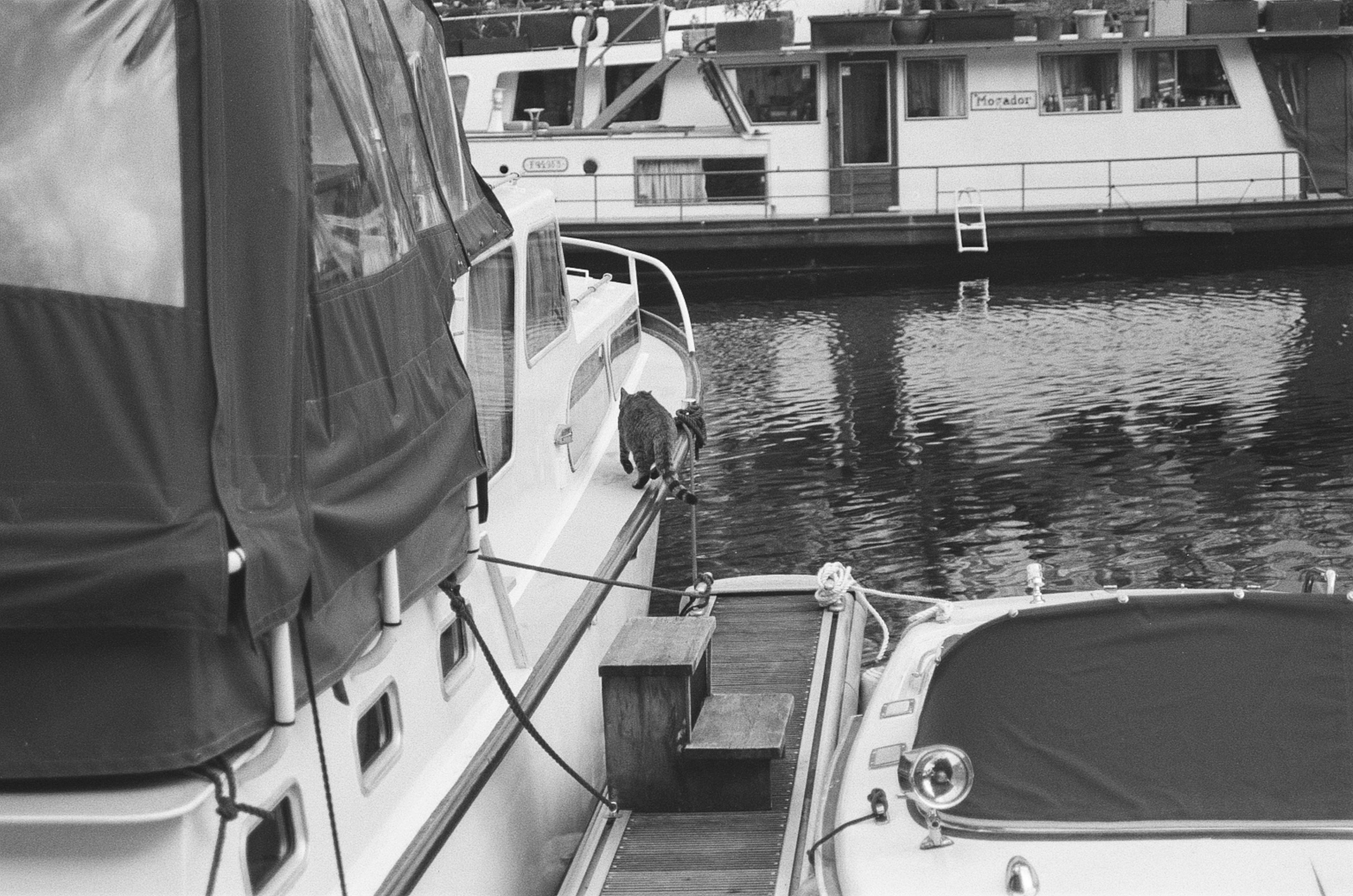 Grayscale Photography of a Boat Near the Lake · Free Stock Photo