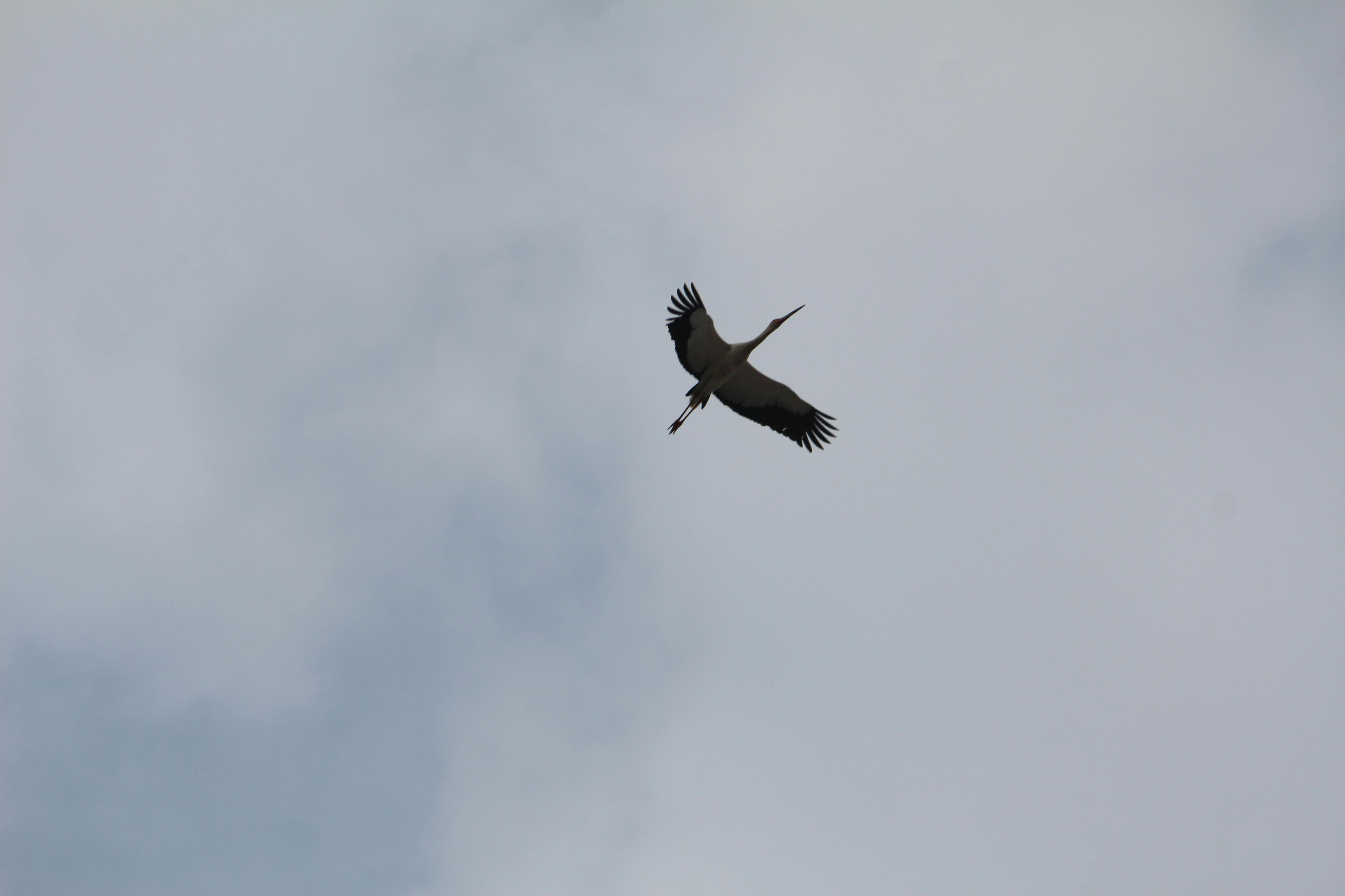 HUGO ROCK - Fotografía