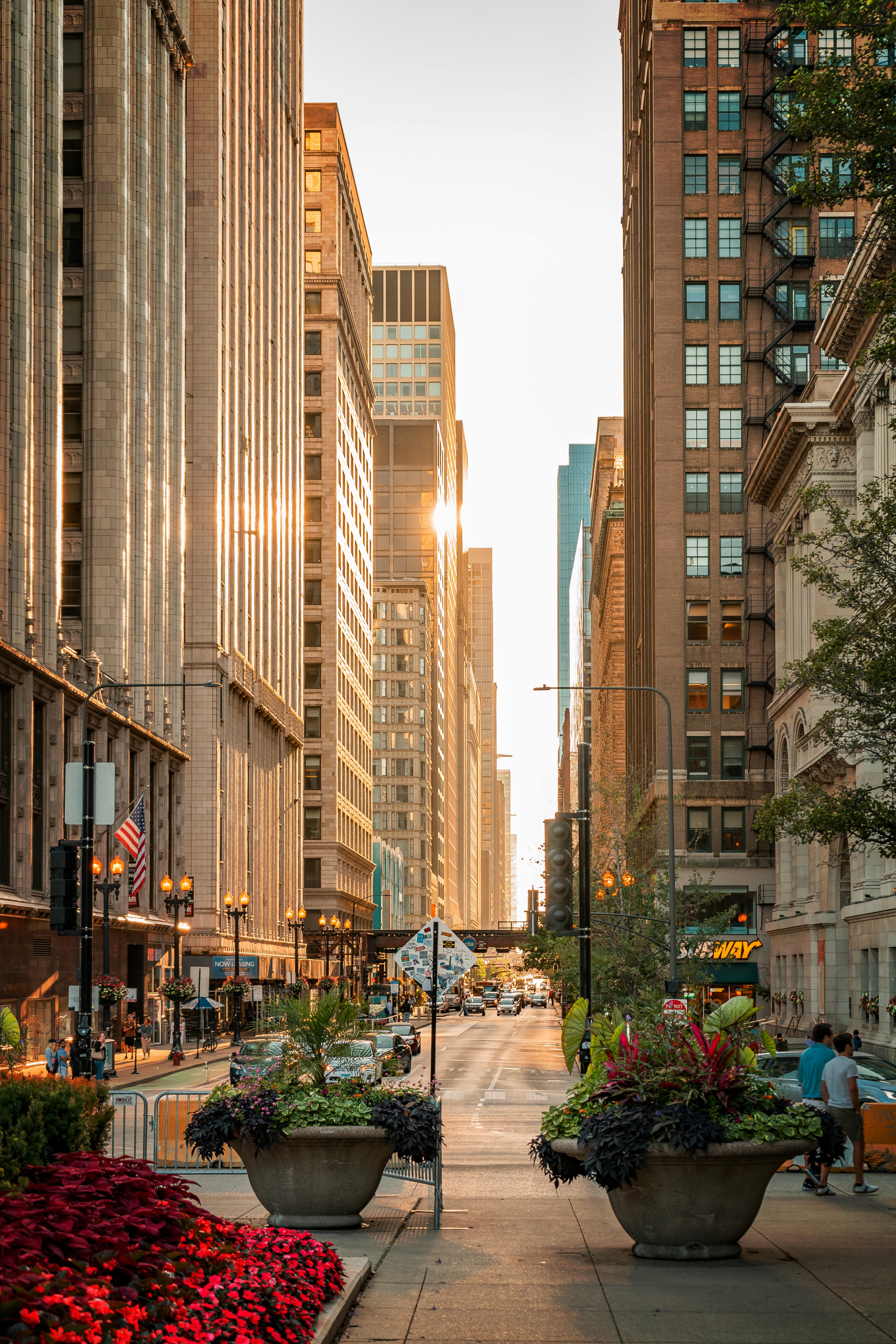 City Street between High Rise Buildings · Free Stock Photo