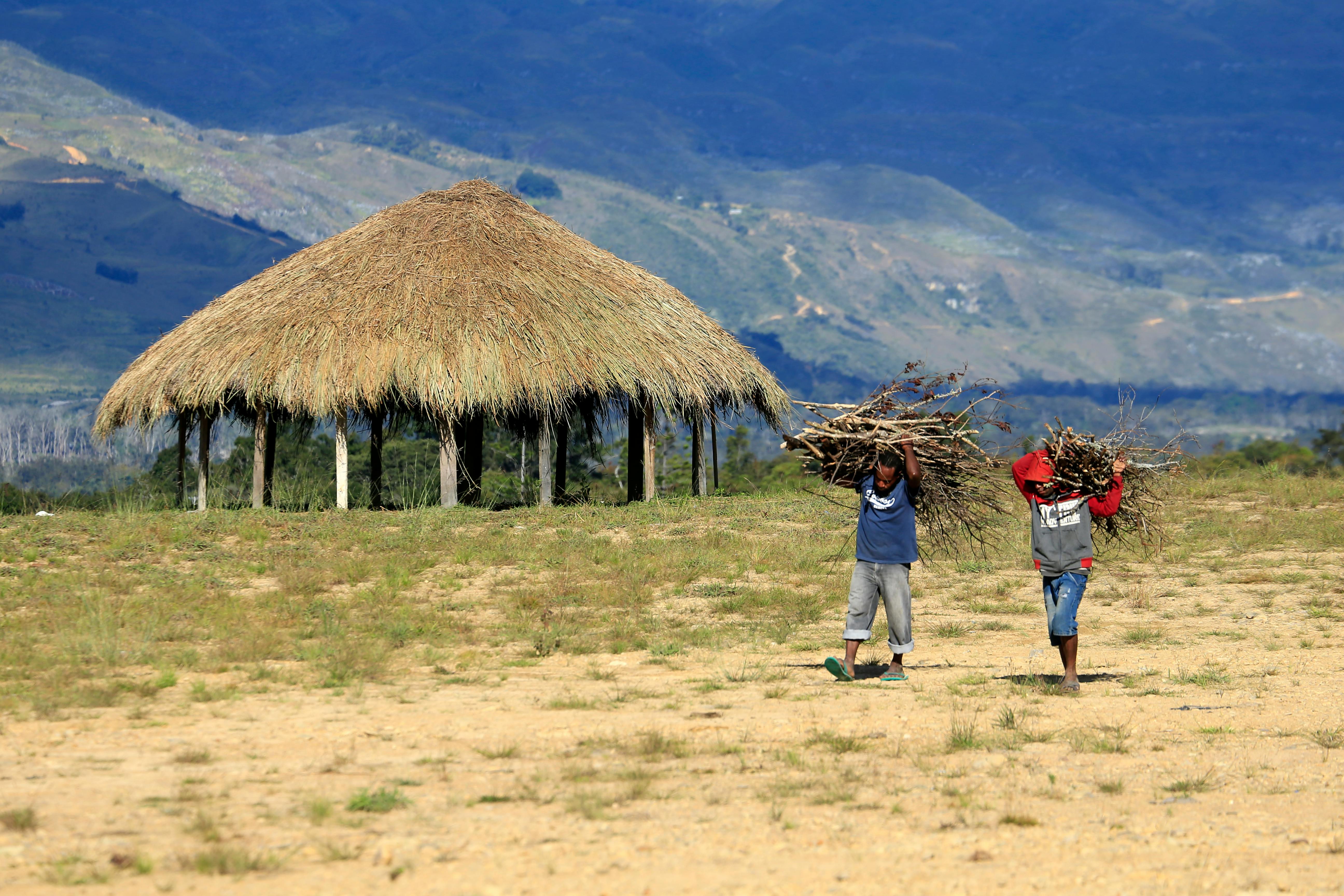 Men Carrying Firewood · Free Stock Photo