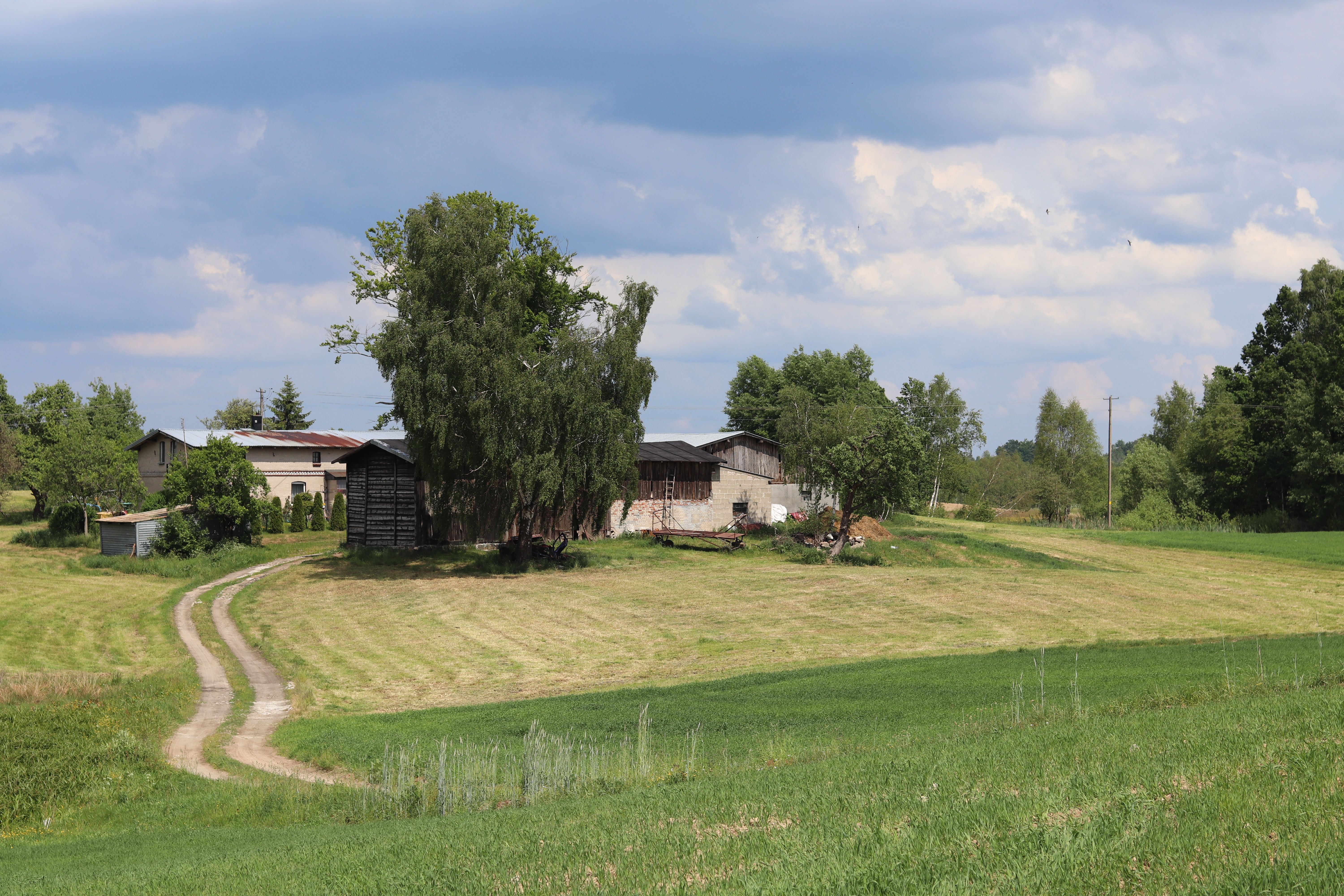 Field on Farm · Free Stock Photo