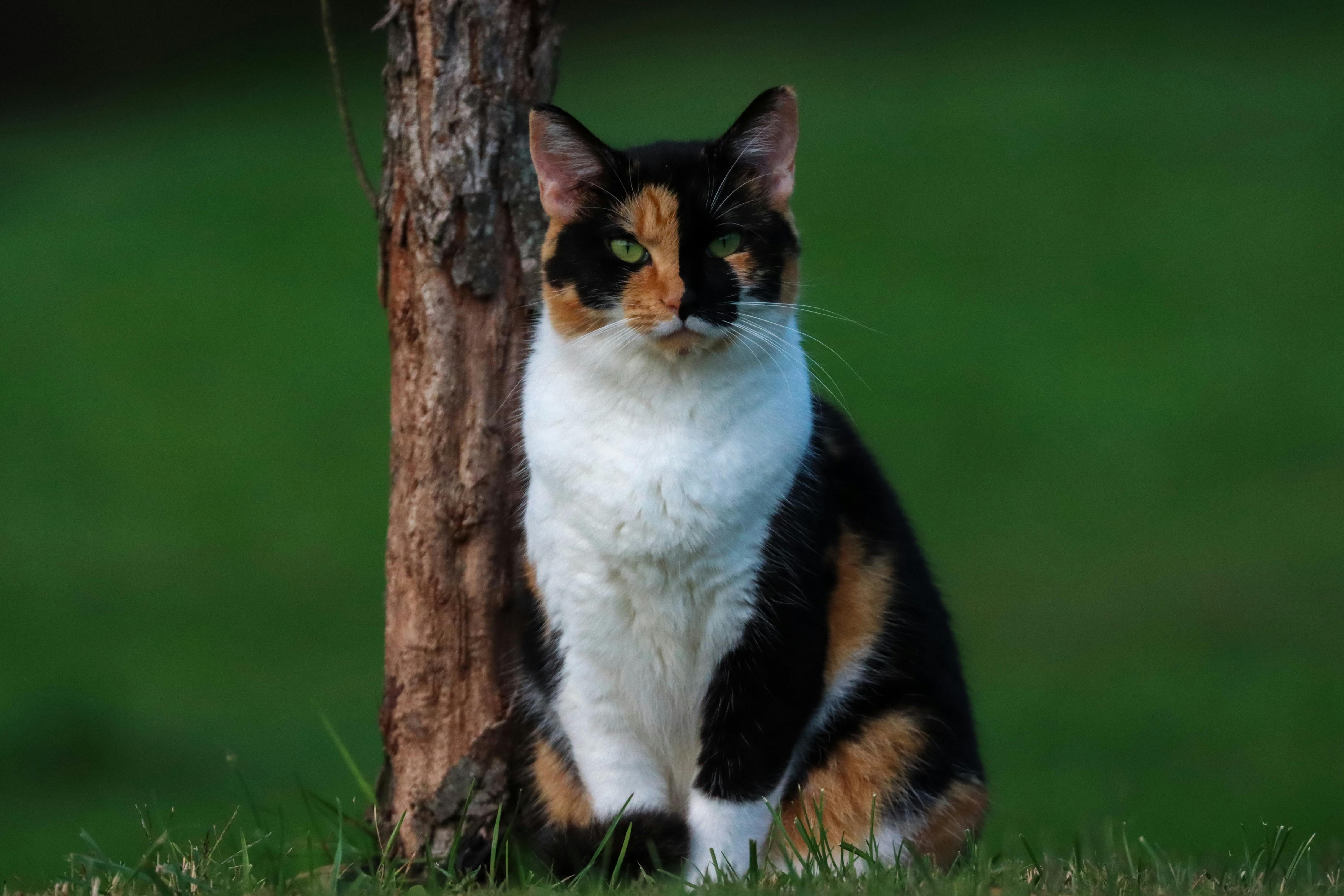 Sherry - Photography