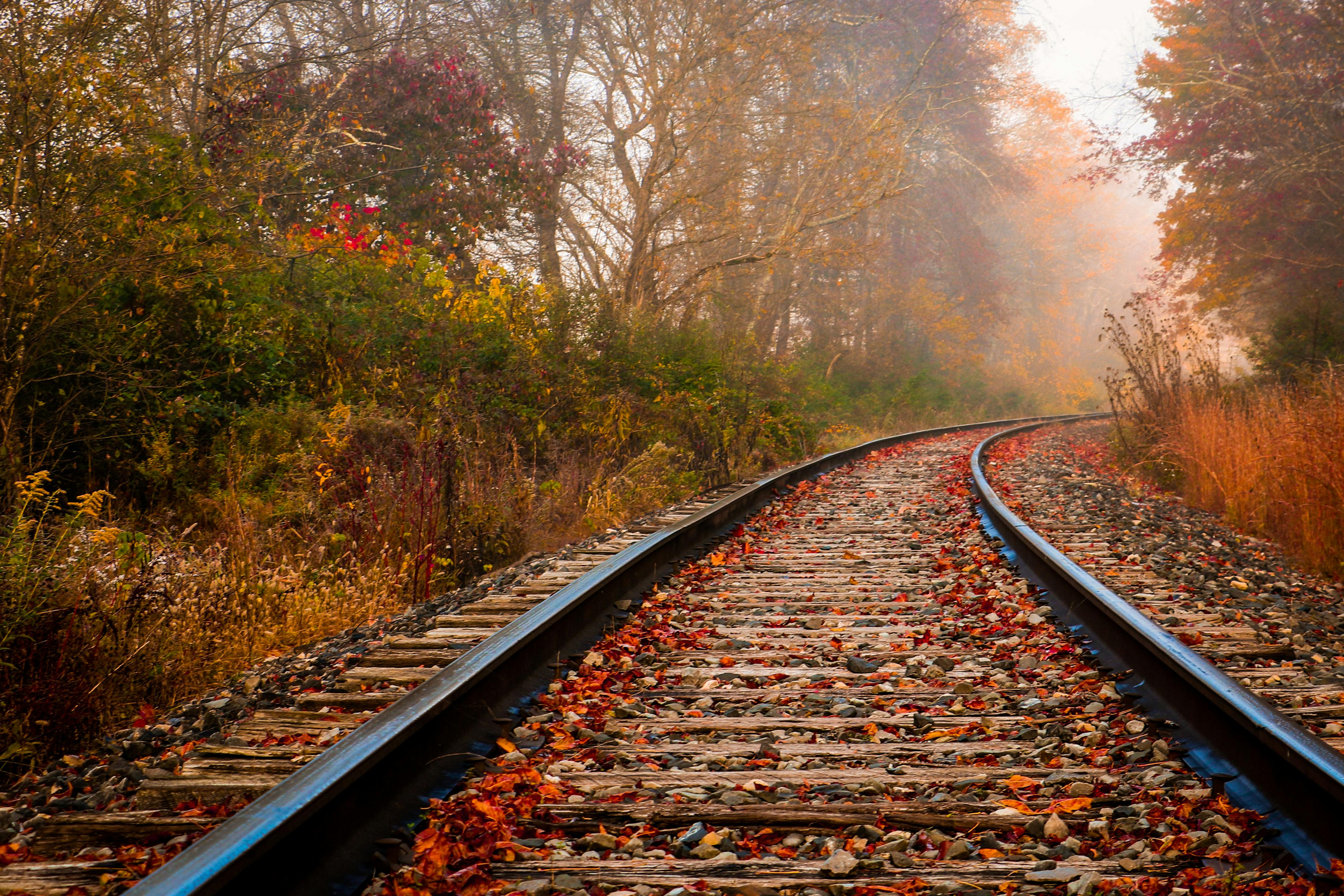 Sherry - Photography