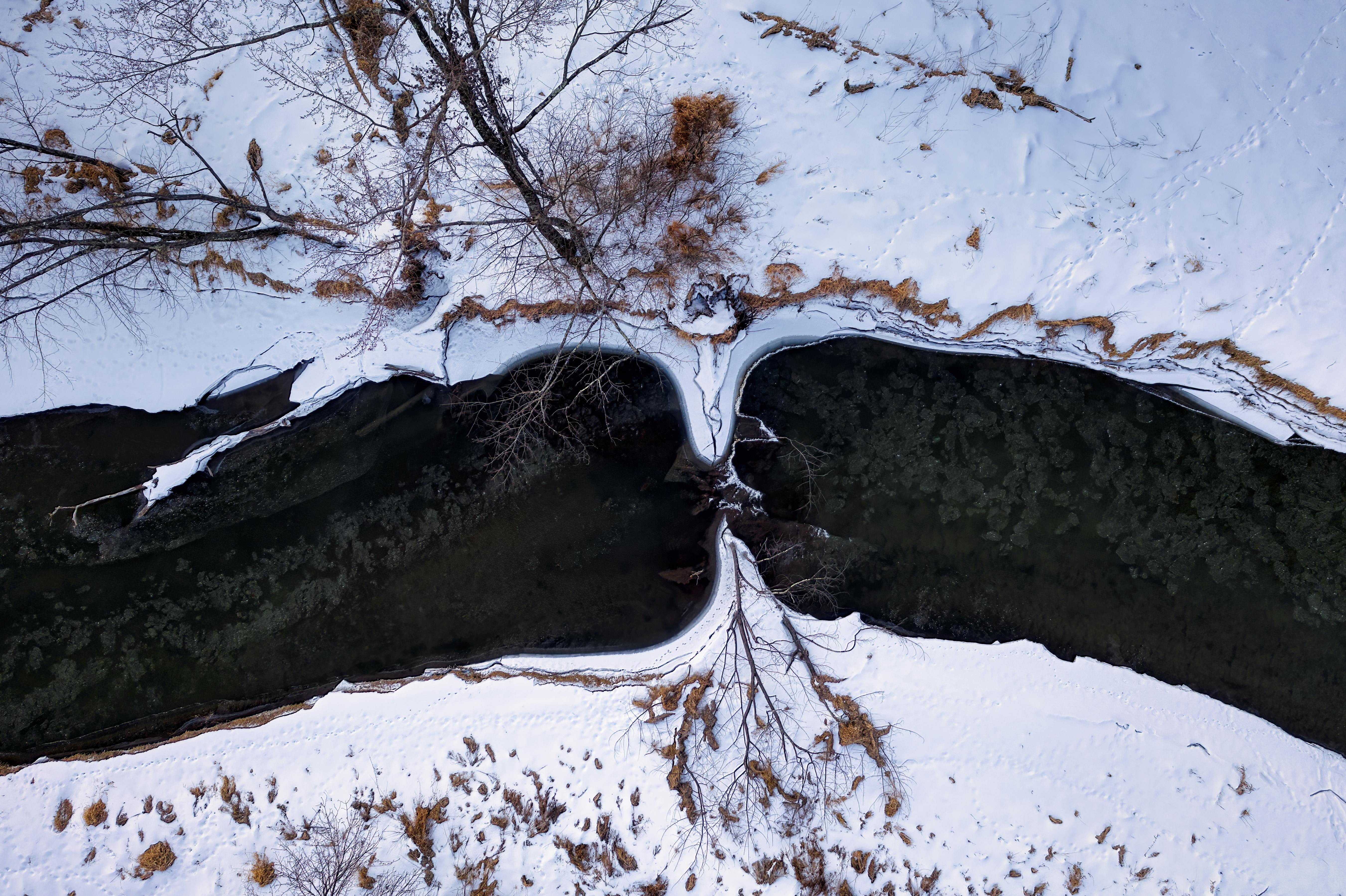 Aerial View of Leafless Trees Near the River · Free Stock Photo