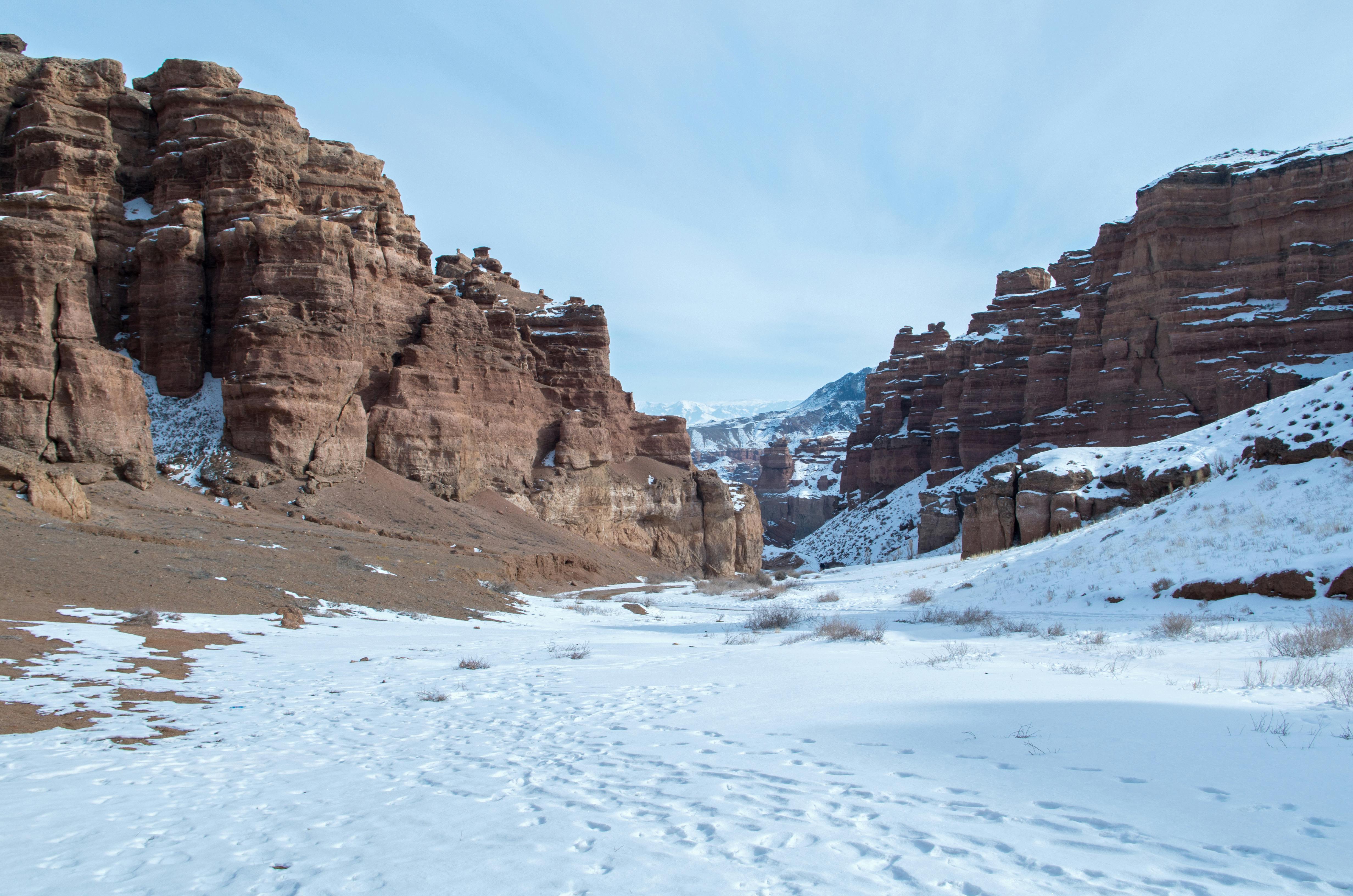 Snow-Covered Canyon · Free Stock Photo