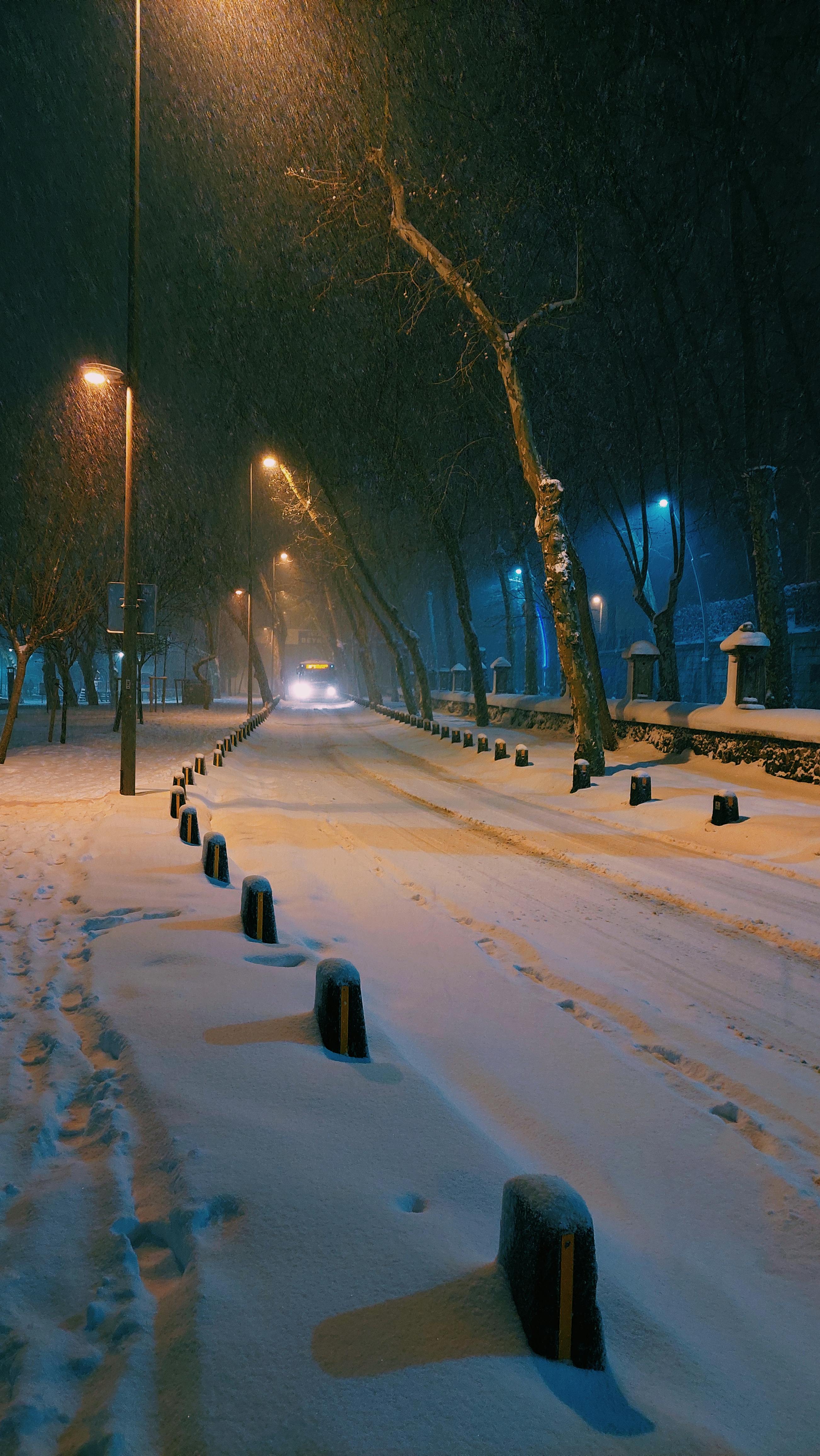 Night Time Snowy Street Free Picture: Night, Nighttime, Snow,