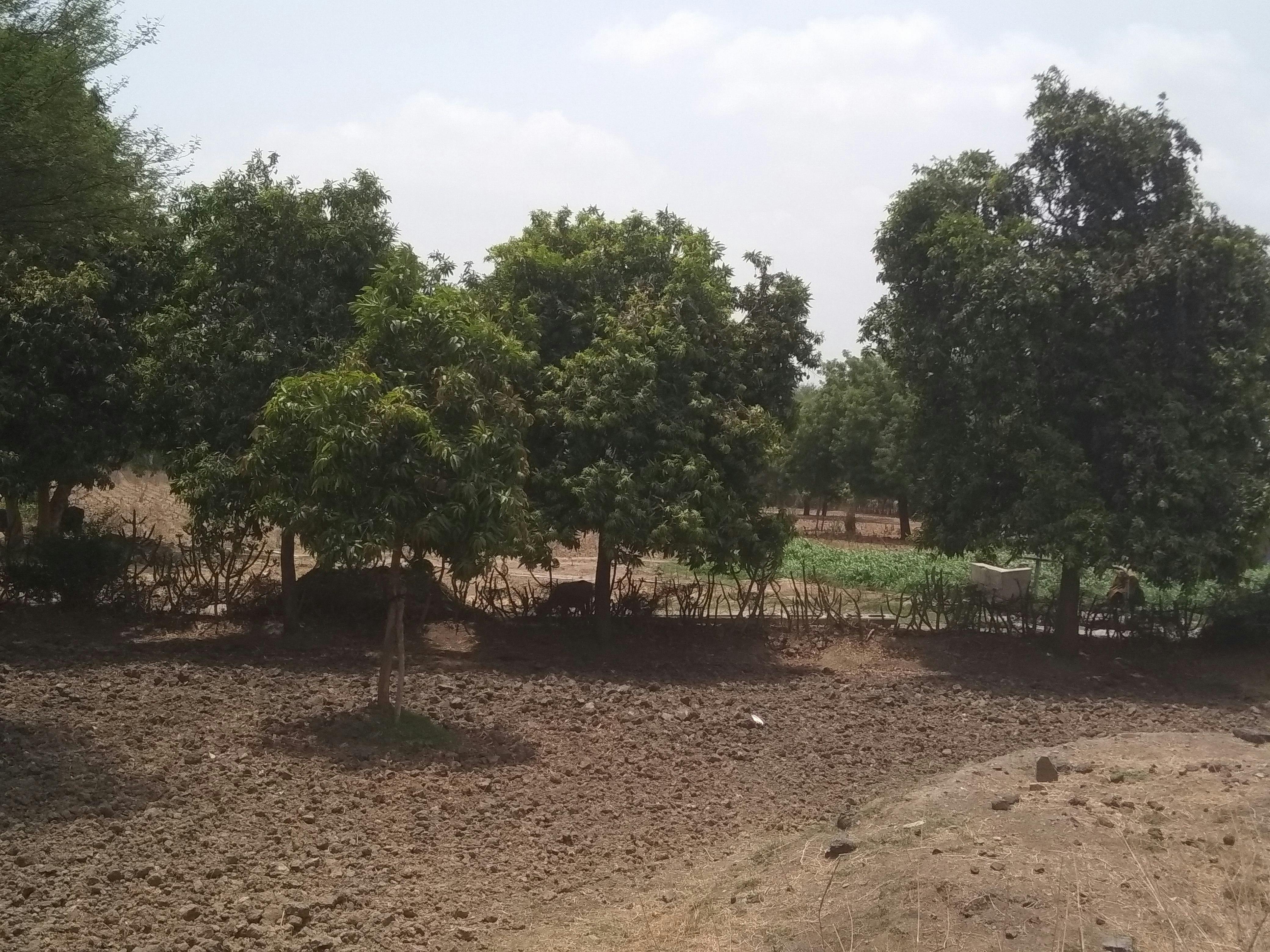 Ruchi 1 Photos & Videos Collected by Ruchi Singh