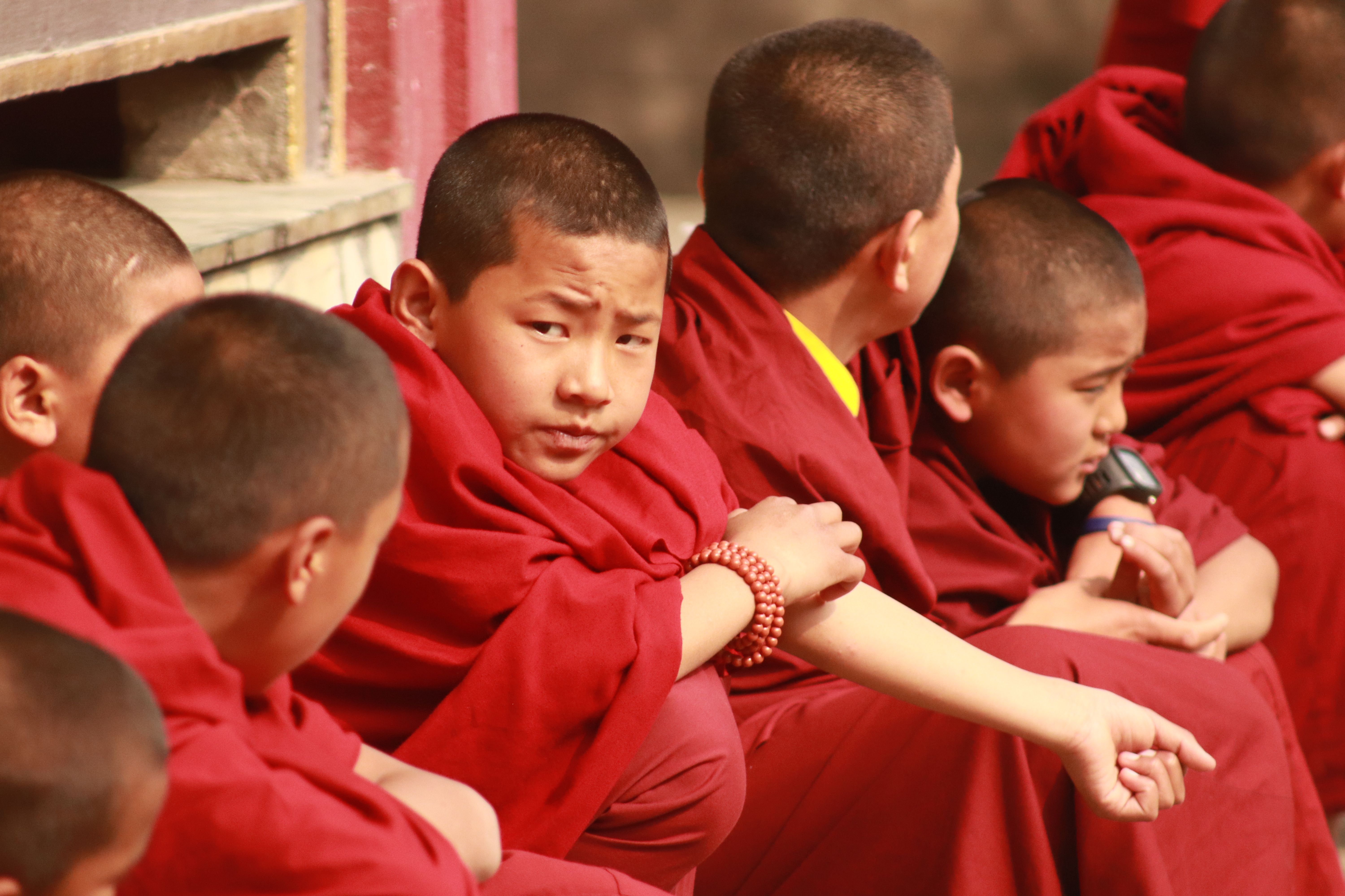 Little Monks Running in a Monastery · Free Stock Photo