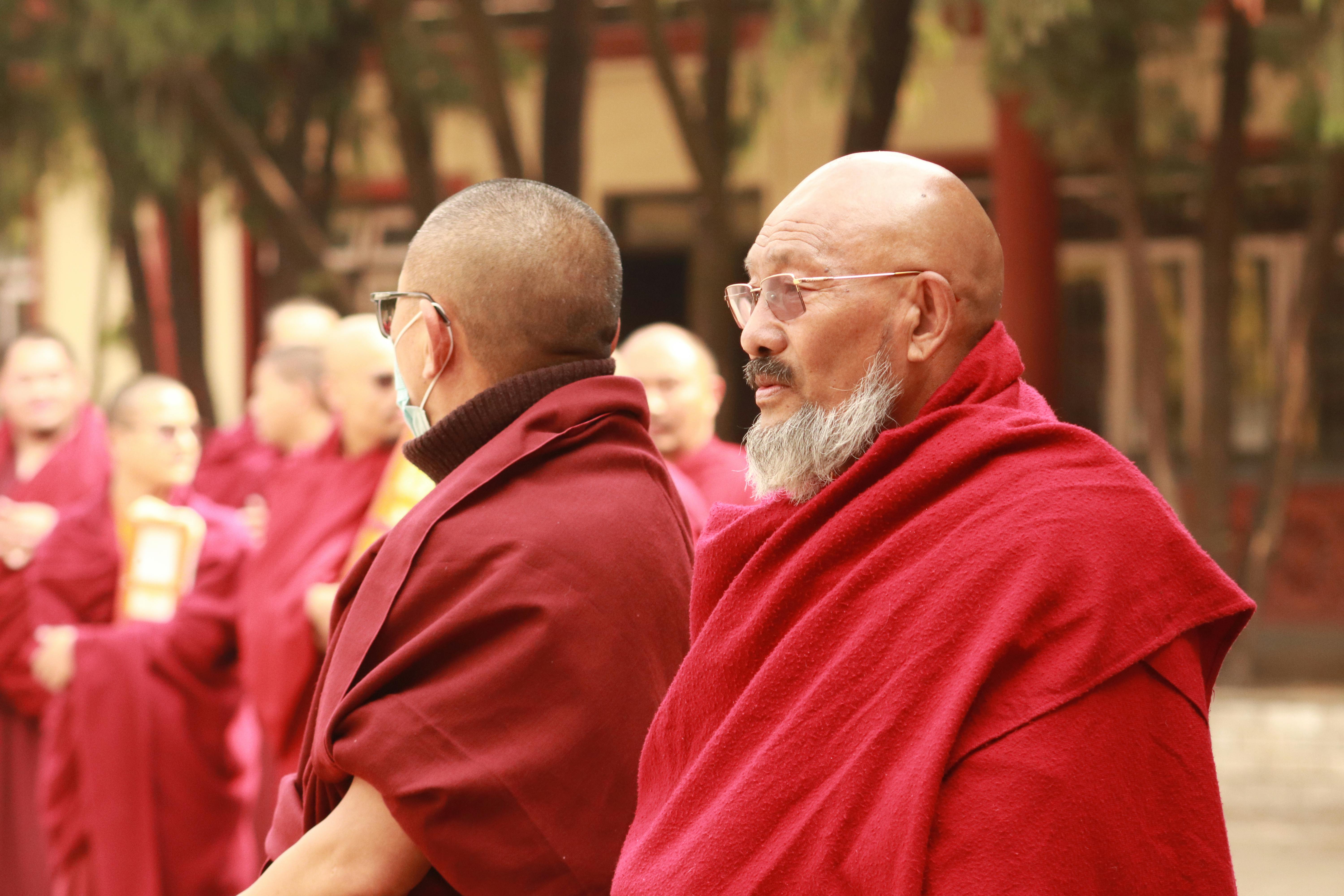 Group of Monks in Red Gowns · Free Stock Photo